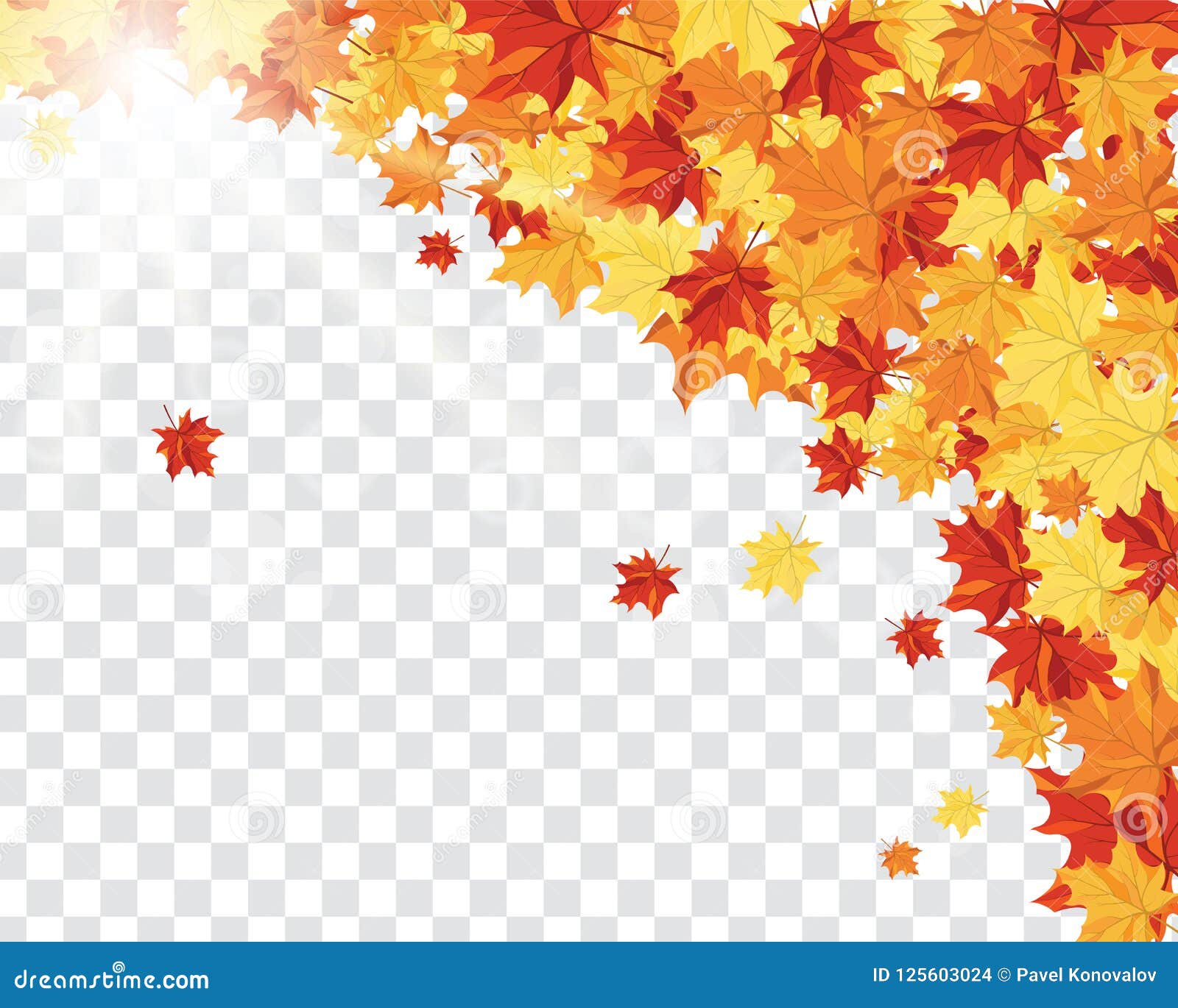 Maple Leaves on Transparency Grid Stock Vector - Illustration of blank ...