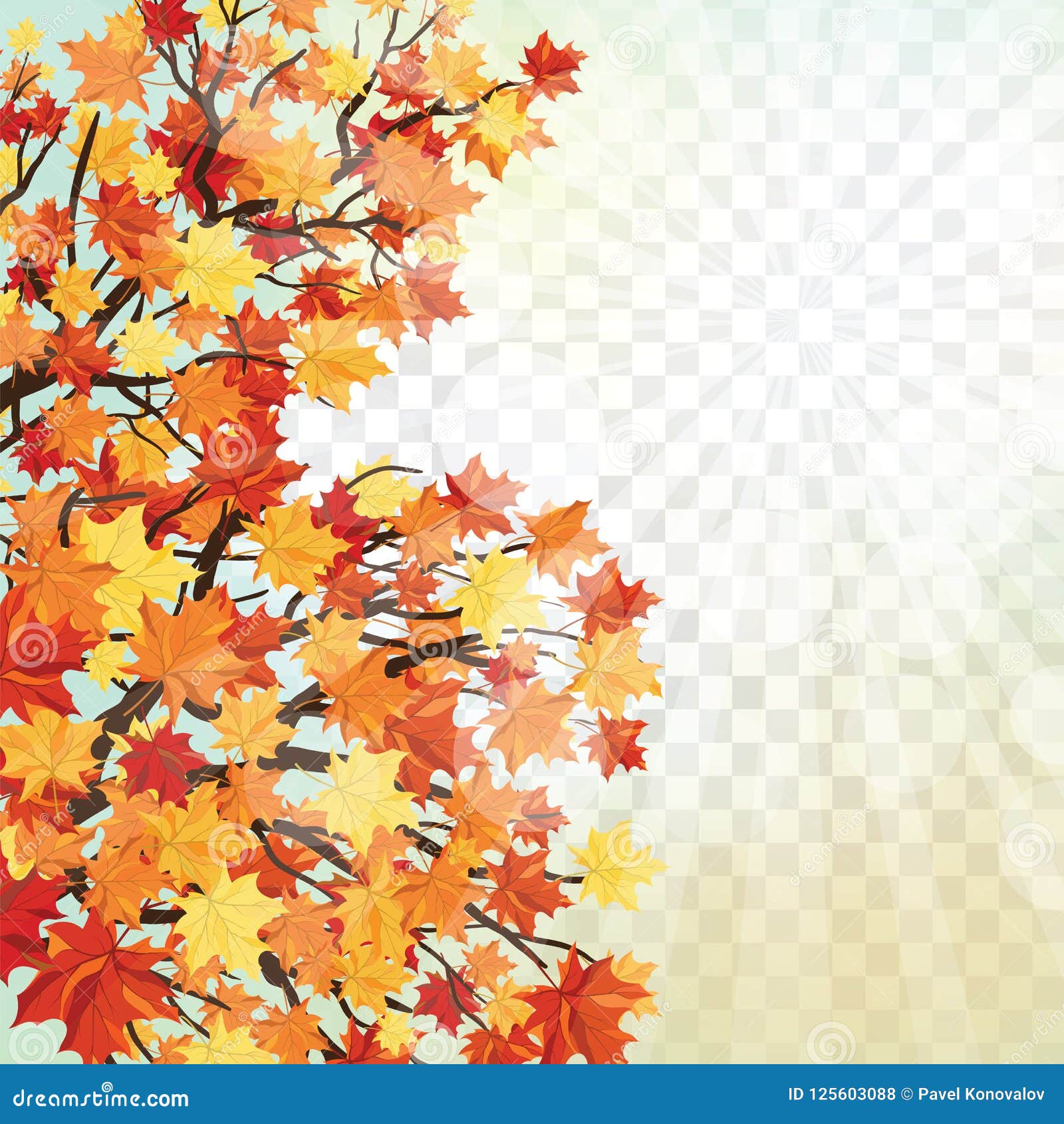Maple Leaves on Transparency Grid Stock Vector - Illustration of branch ...