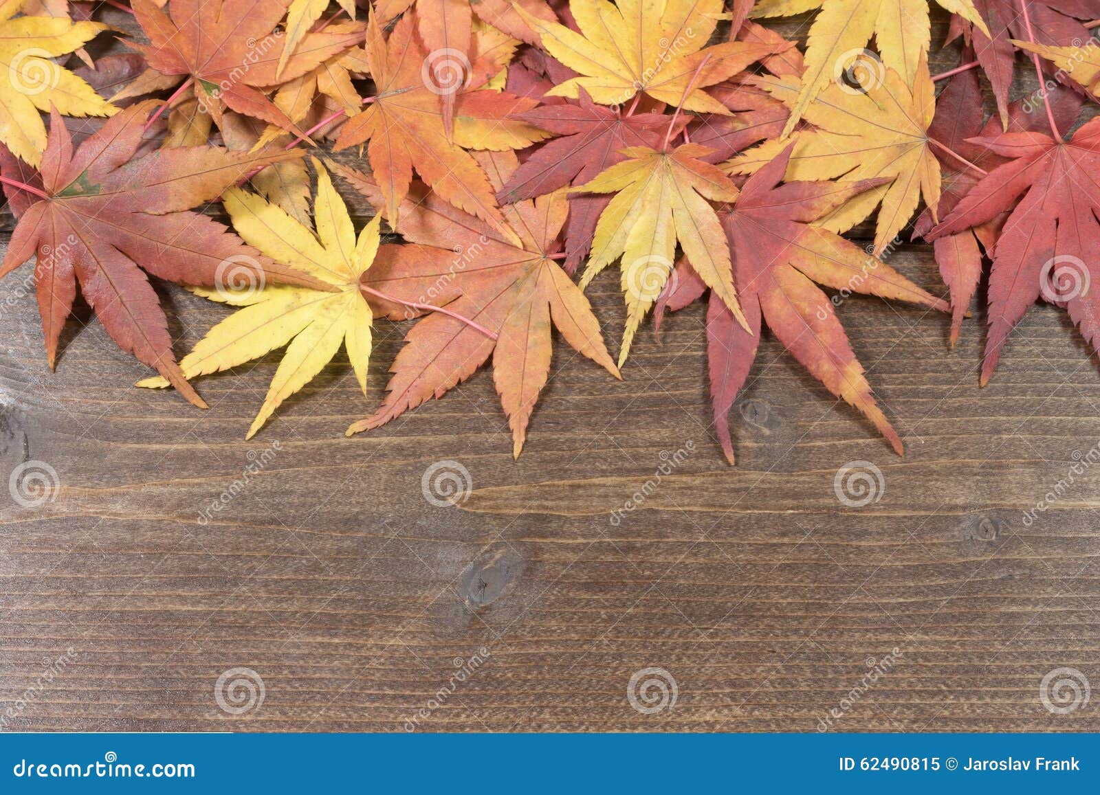 Maple Leaves on the Upper Side of a Wooden Table Stock Image - Image of ...
