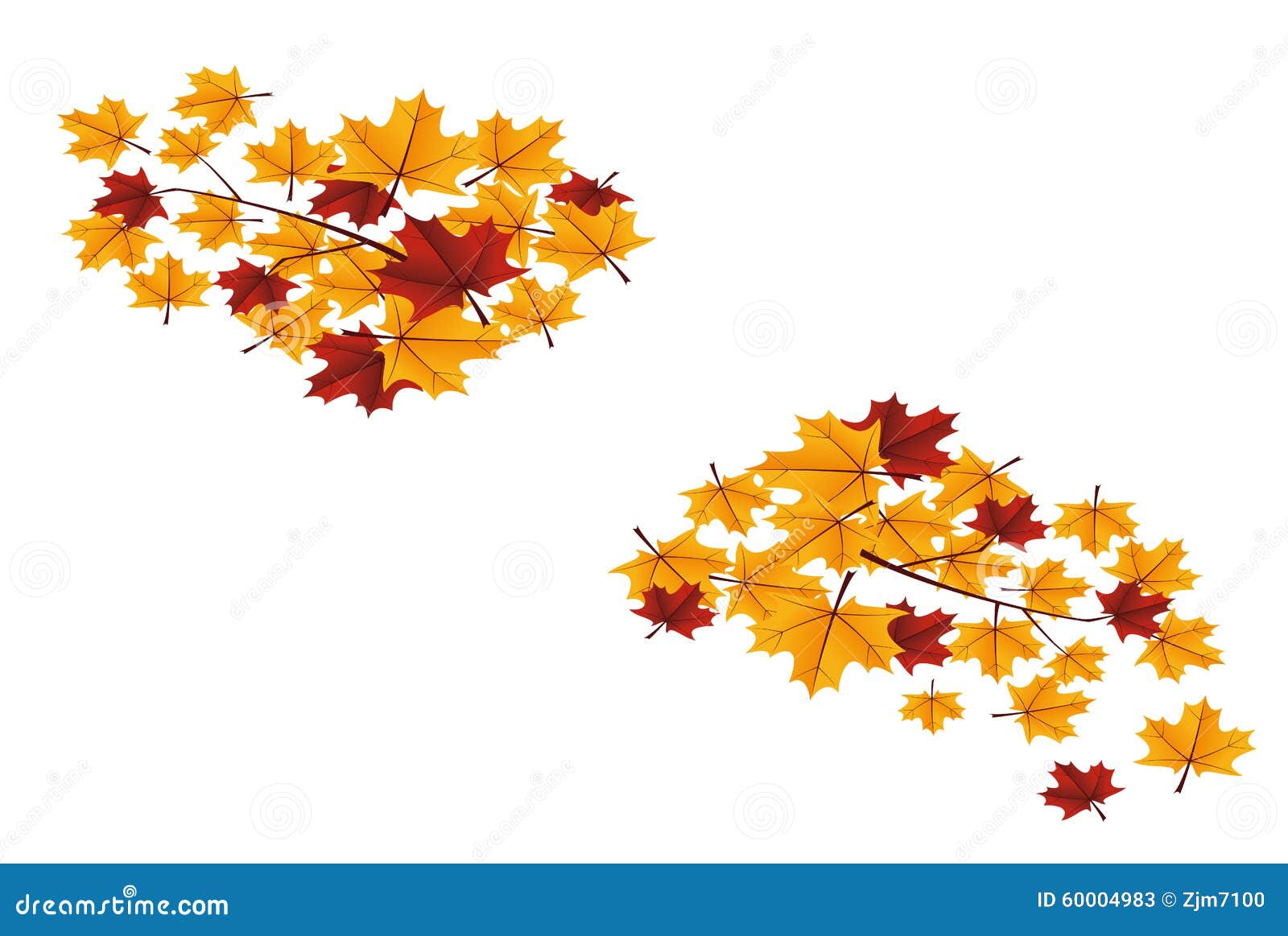 Maple leaves stock vector. Illustration of maple, hand - 60004983