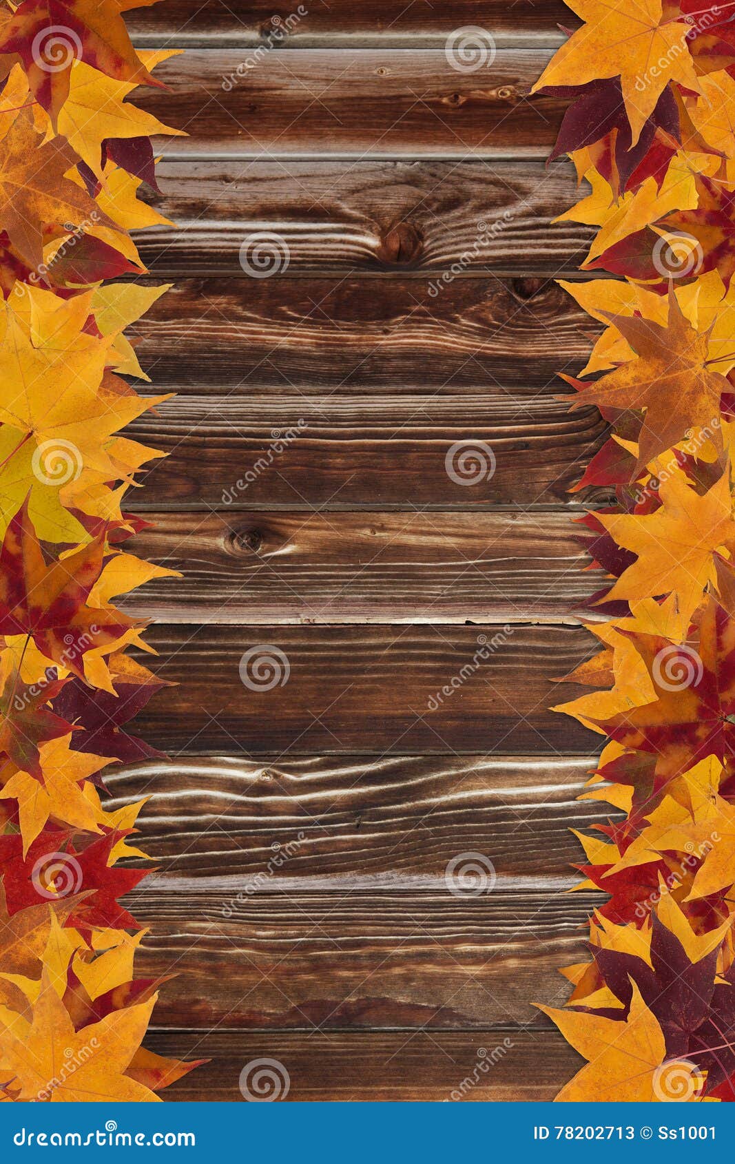 Maple Leaves and Wooden Background Stock Image - Image of leaves ...