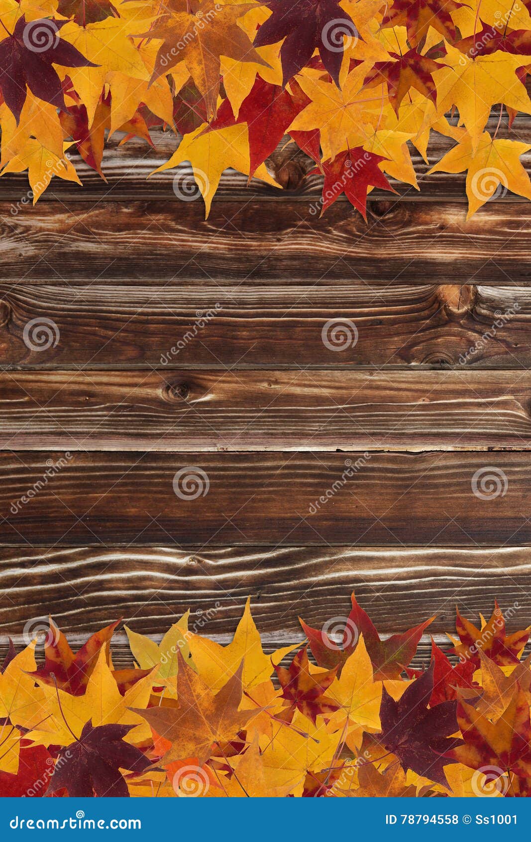Maple Leaves and Wooden Background Stock Photo - Image of foliage ...