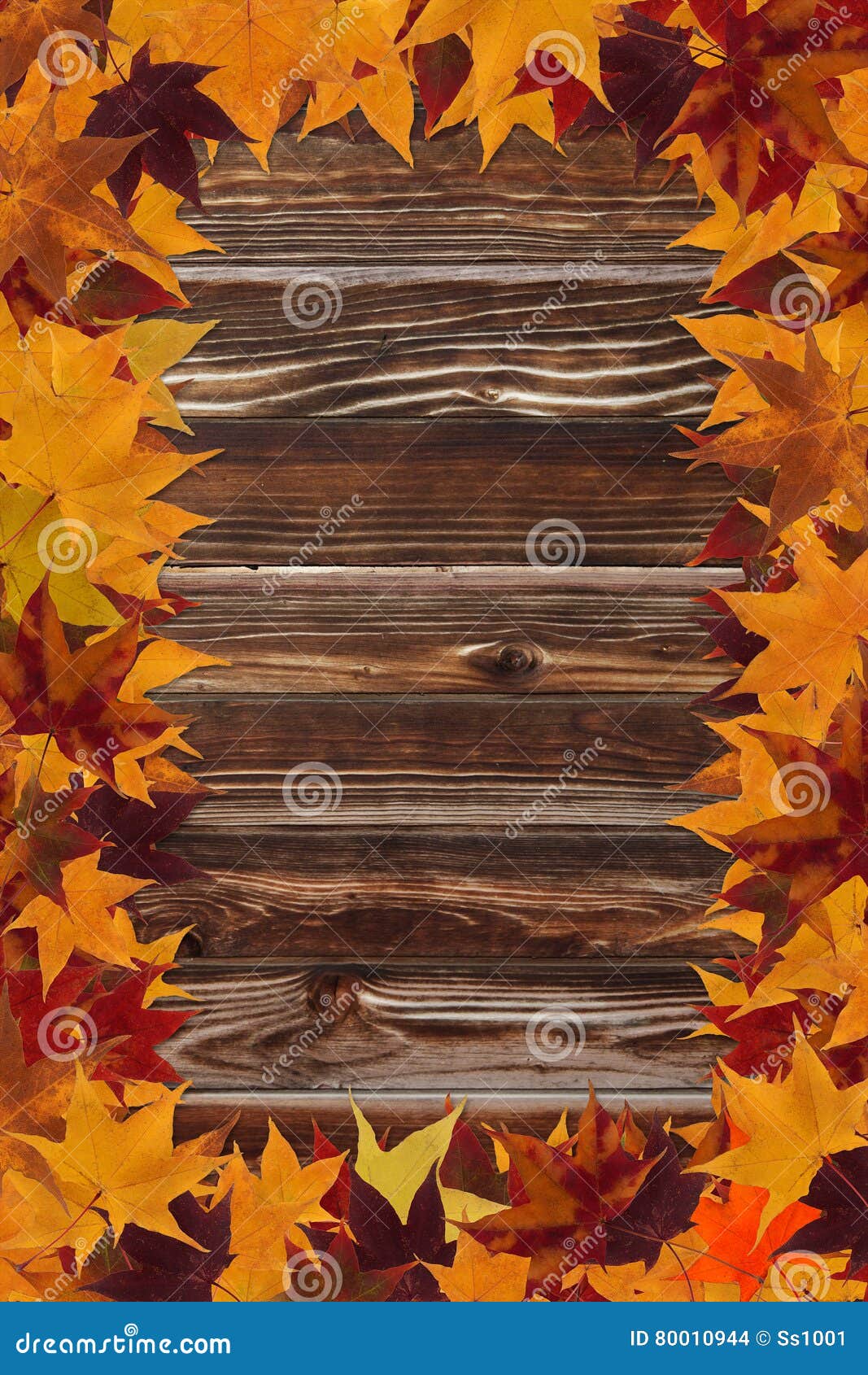 Maple Leaves and Wooden Background Stock Photo - Image of leaf, maple ...