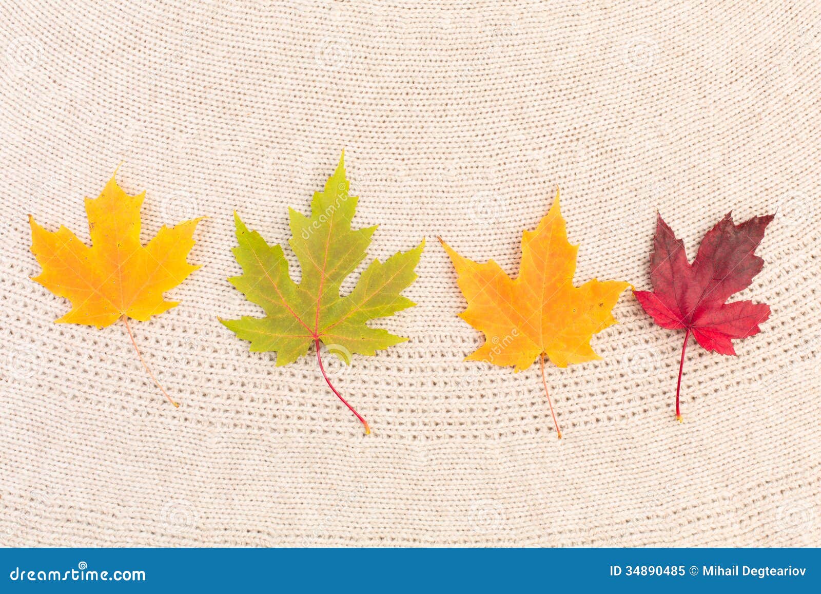 Maple Leaves on Wool stock image. Image of fall, background - 34890485