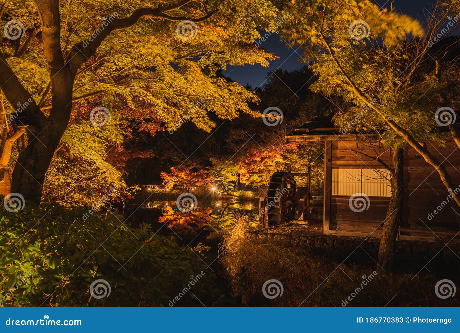 Maple Night View in Nagoya,Aichi,Japan Stock Image - Image of asia ...