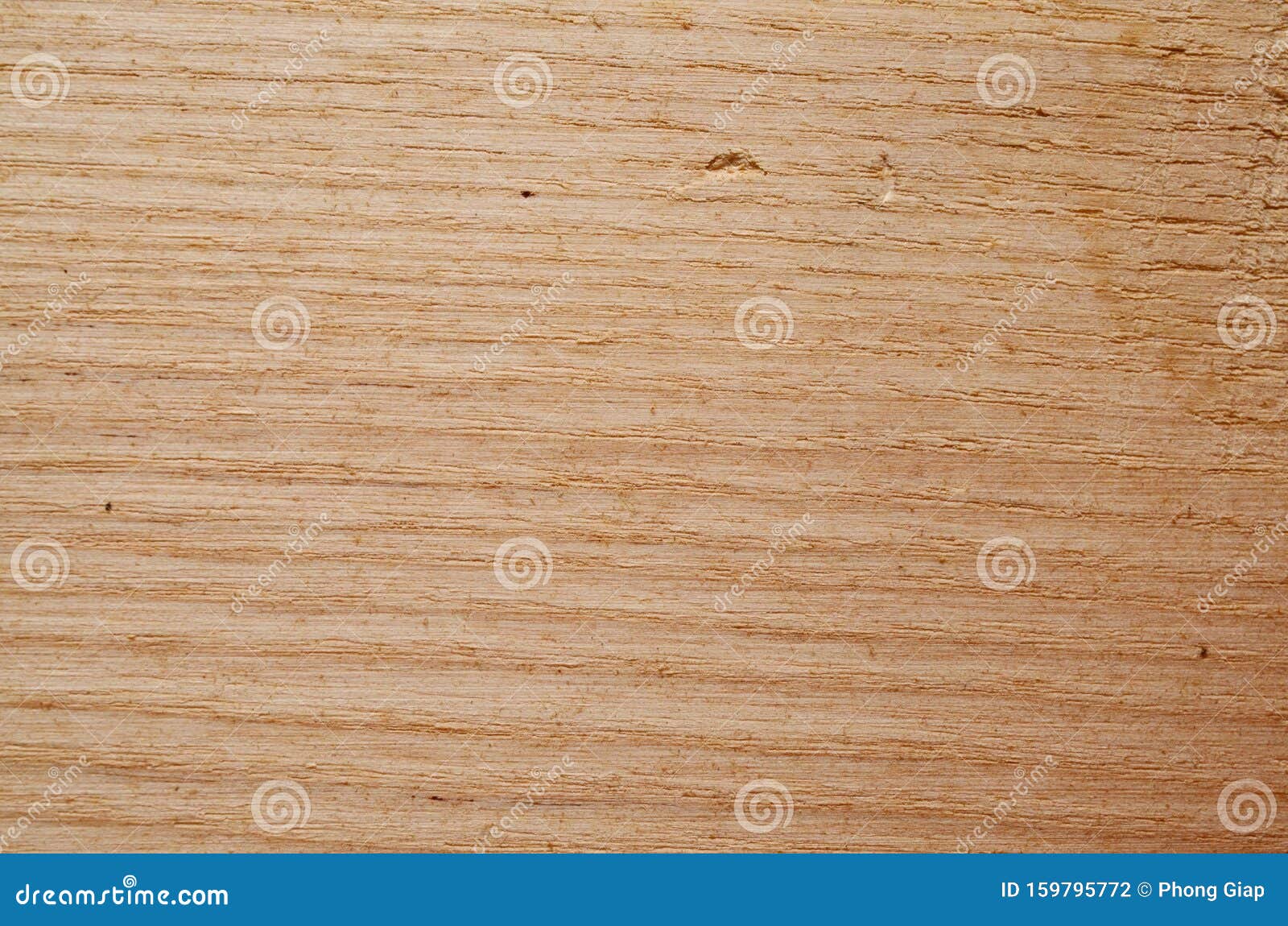Maple panel. stock photo. Image of composed, background - 159795772