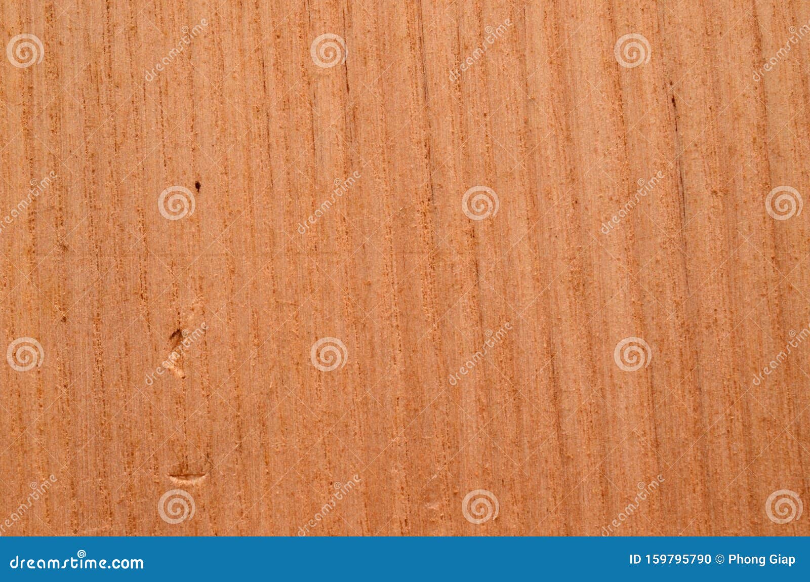 Maple panel. stock photo. Image of wood, surface, background - 159795790