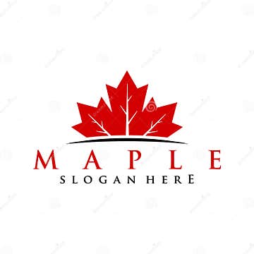 Maple red logo vector stock vector. Illustration of icon - 174165352