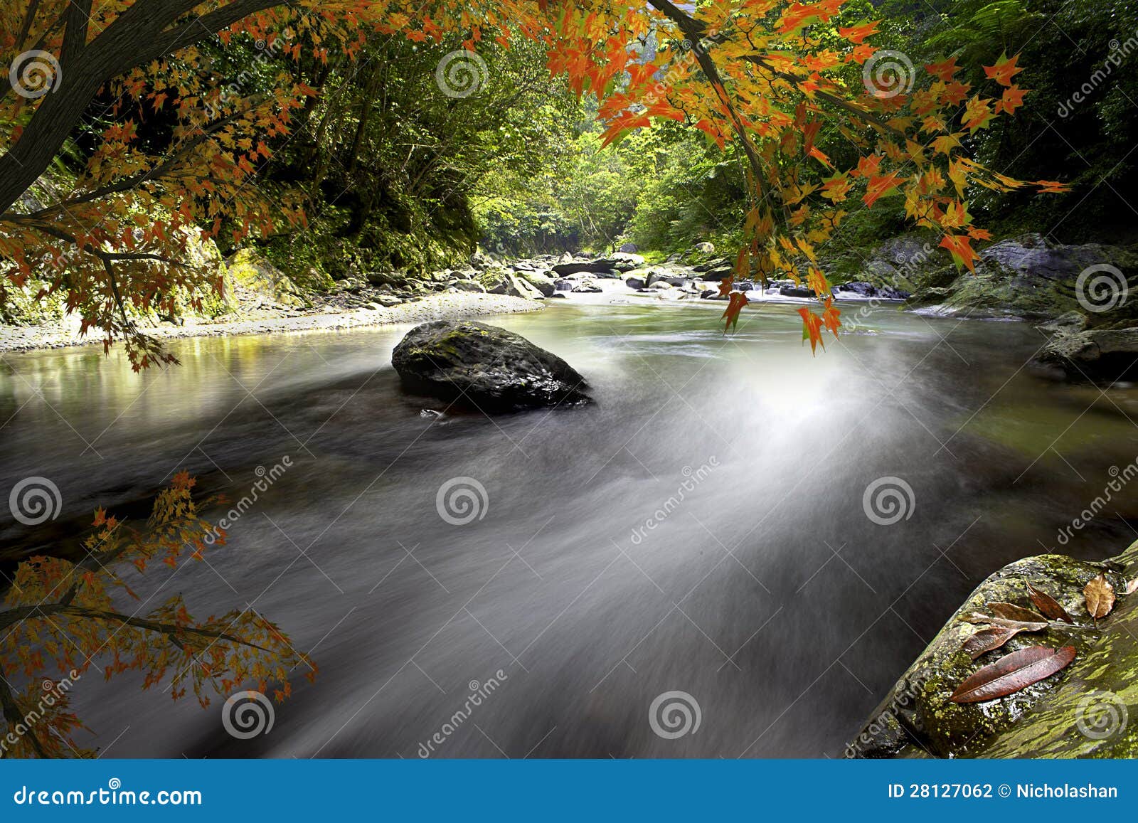 Maple River stock photo. Image of foliage, flowing, environment - 28127062