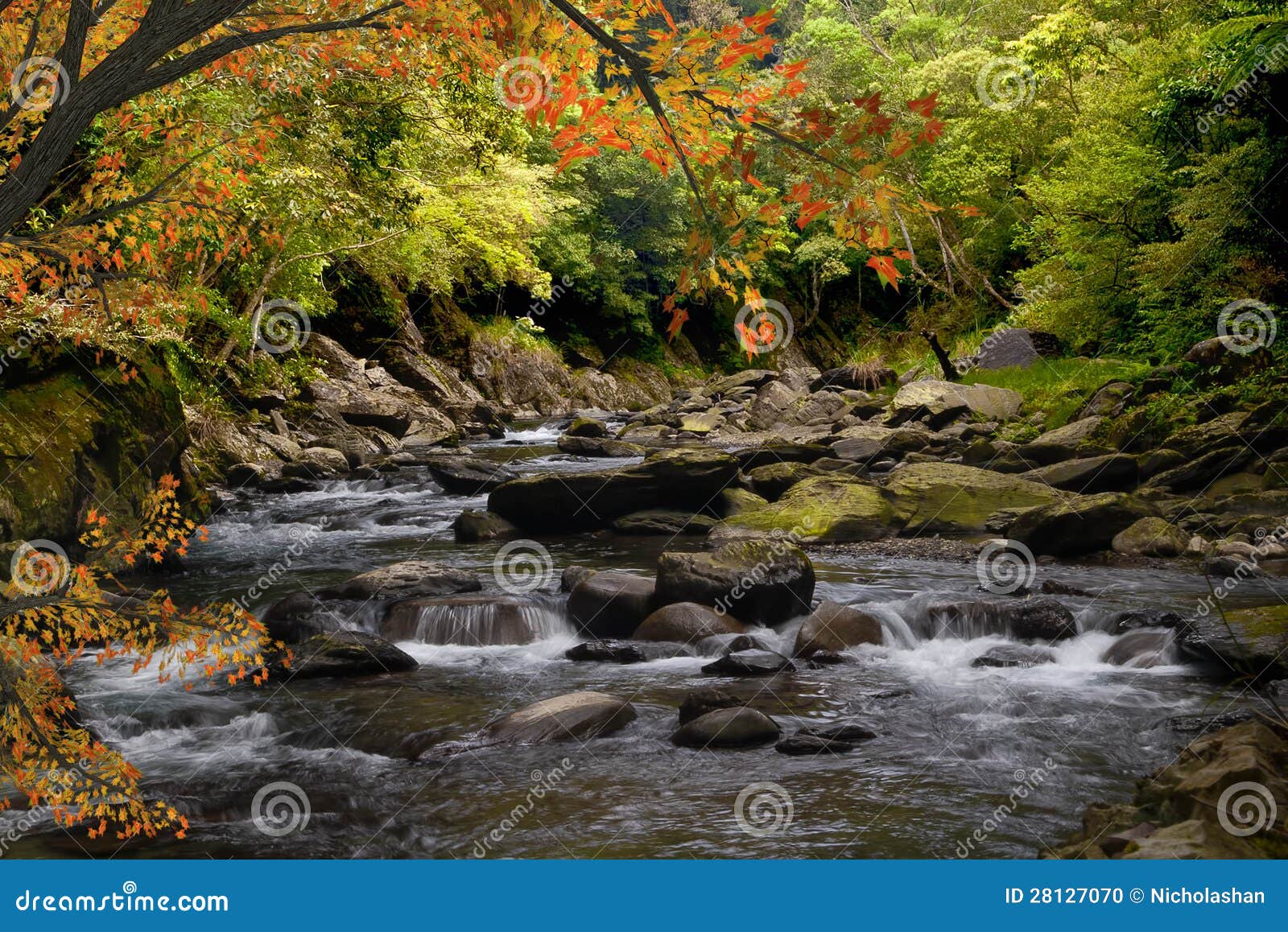 Maple River stock photo. Image of october, environment - 28127070