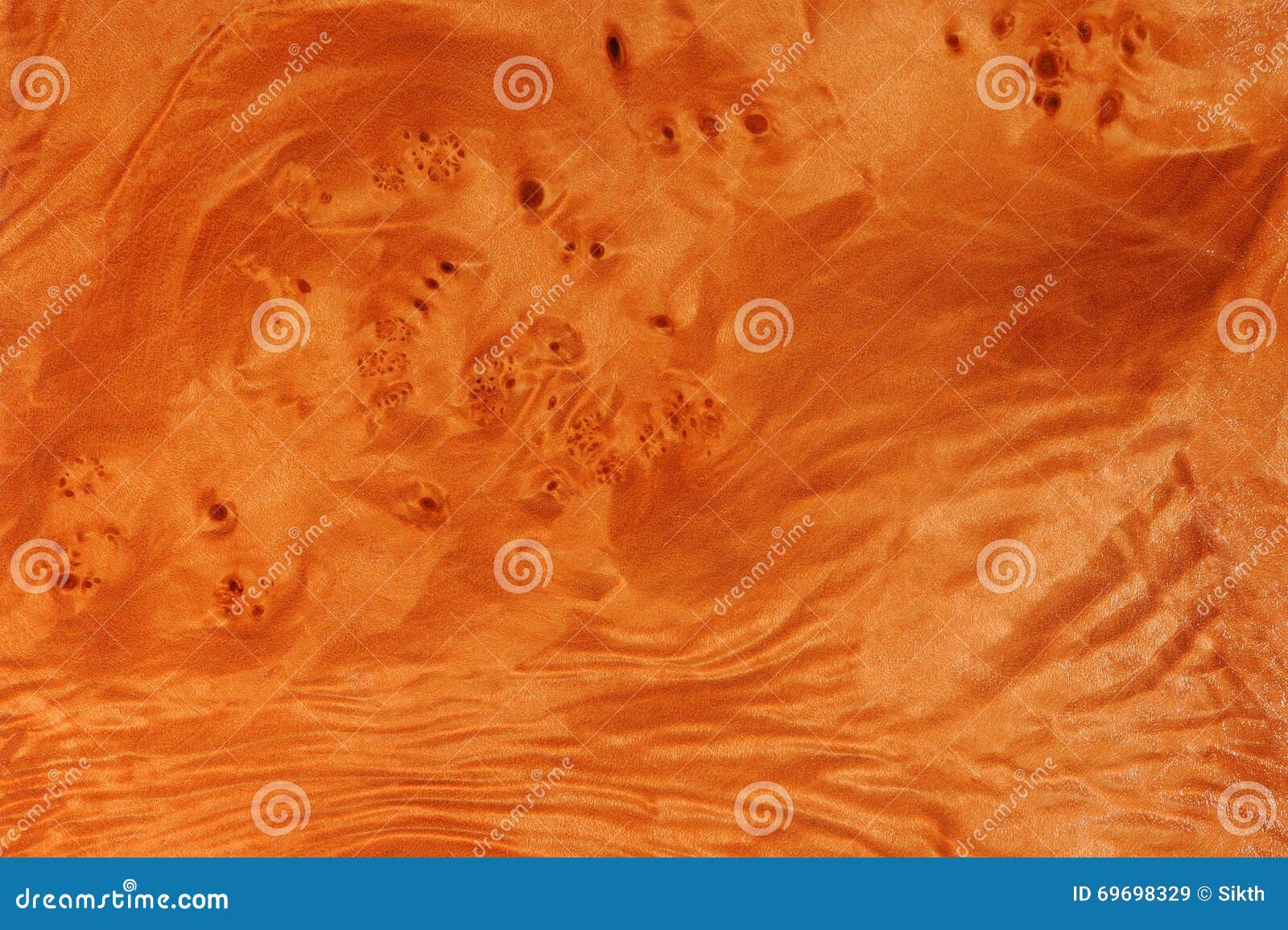 Root Texture Royalty-Free Stock Photo | CartoonDealer.com #43581243