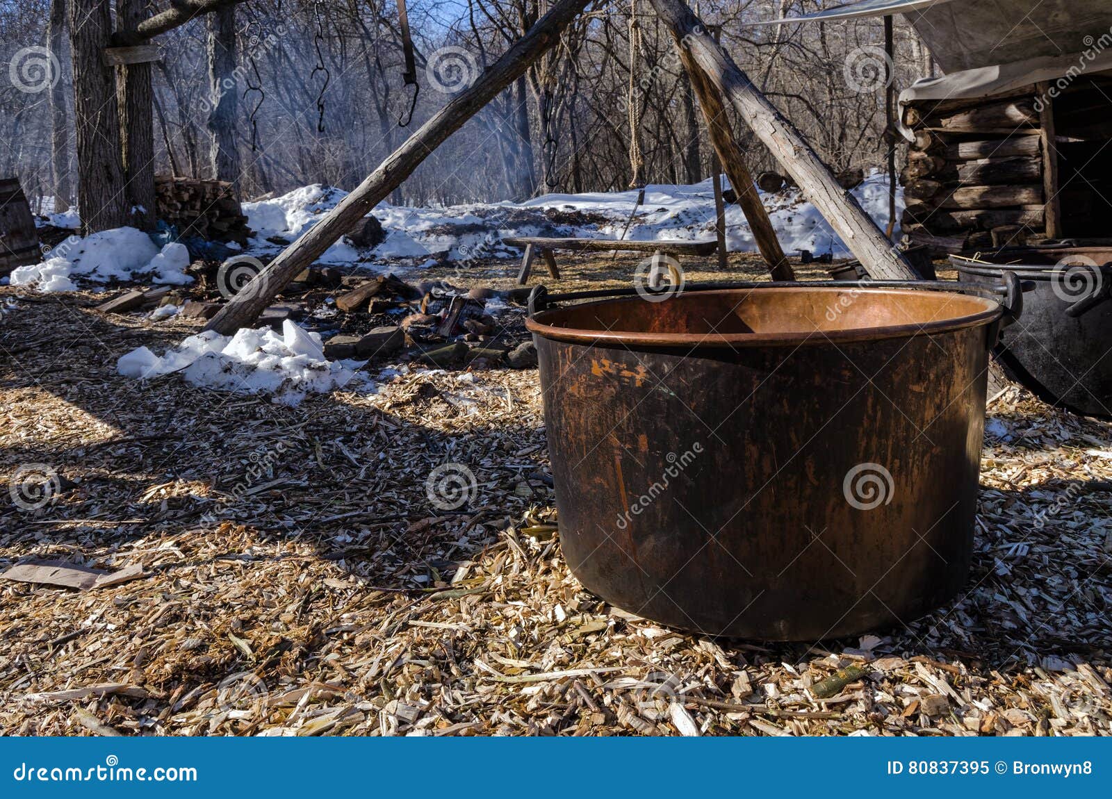 Maple Sap Kettle stock image. Image of maple, woods, spring - 80837395