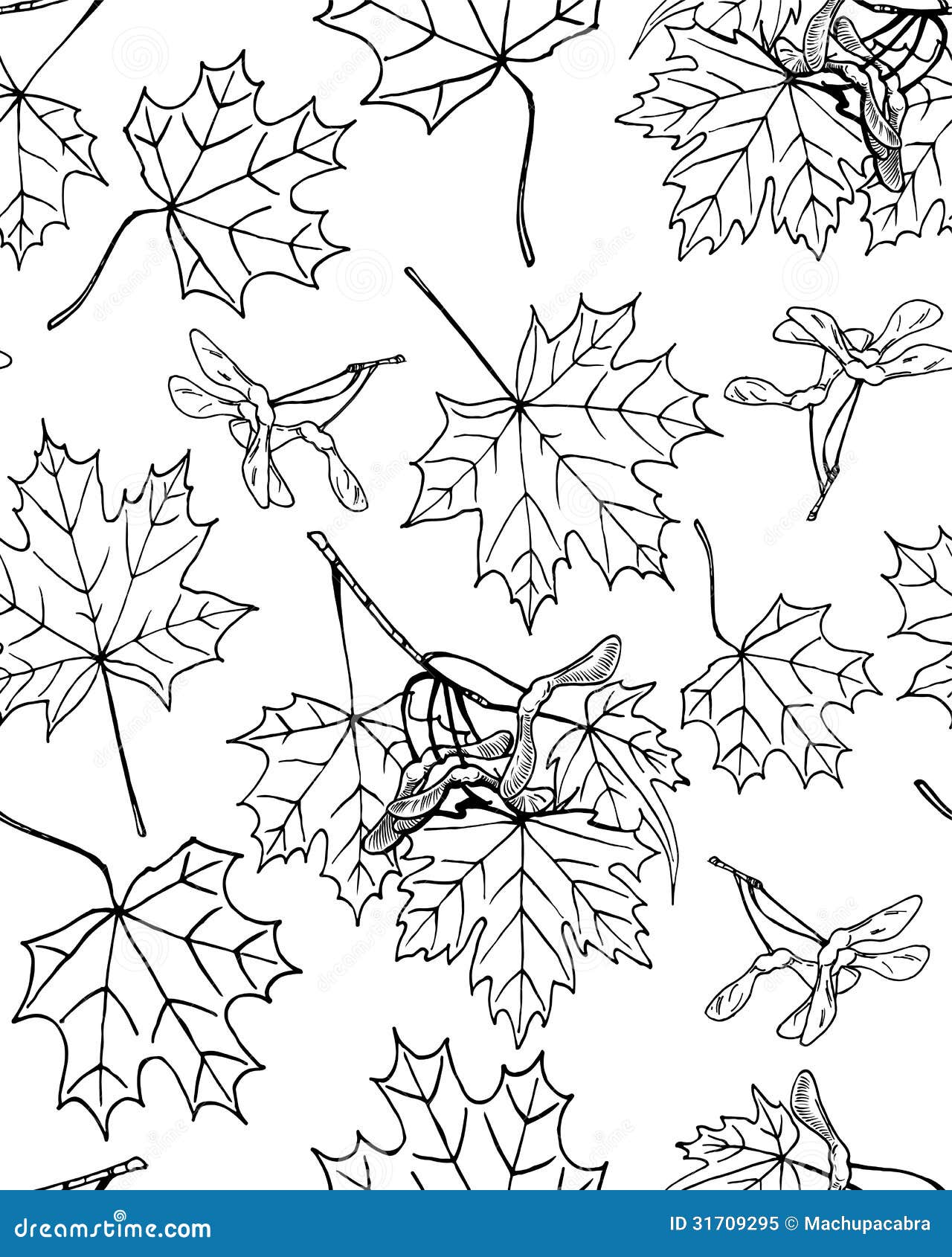 Maple seamless pattern stock vector. Illustration of clipart - 31709295