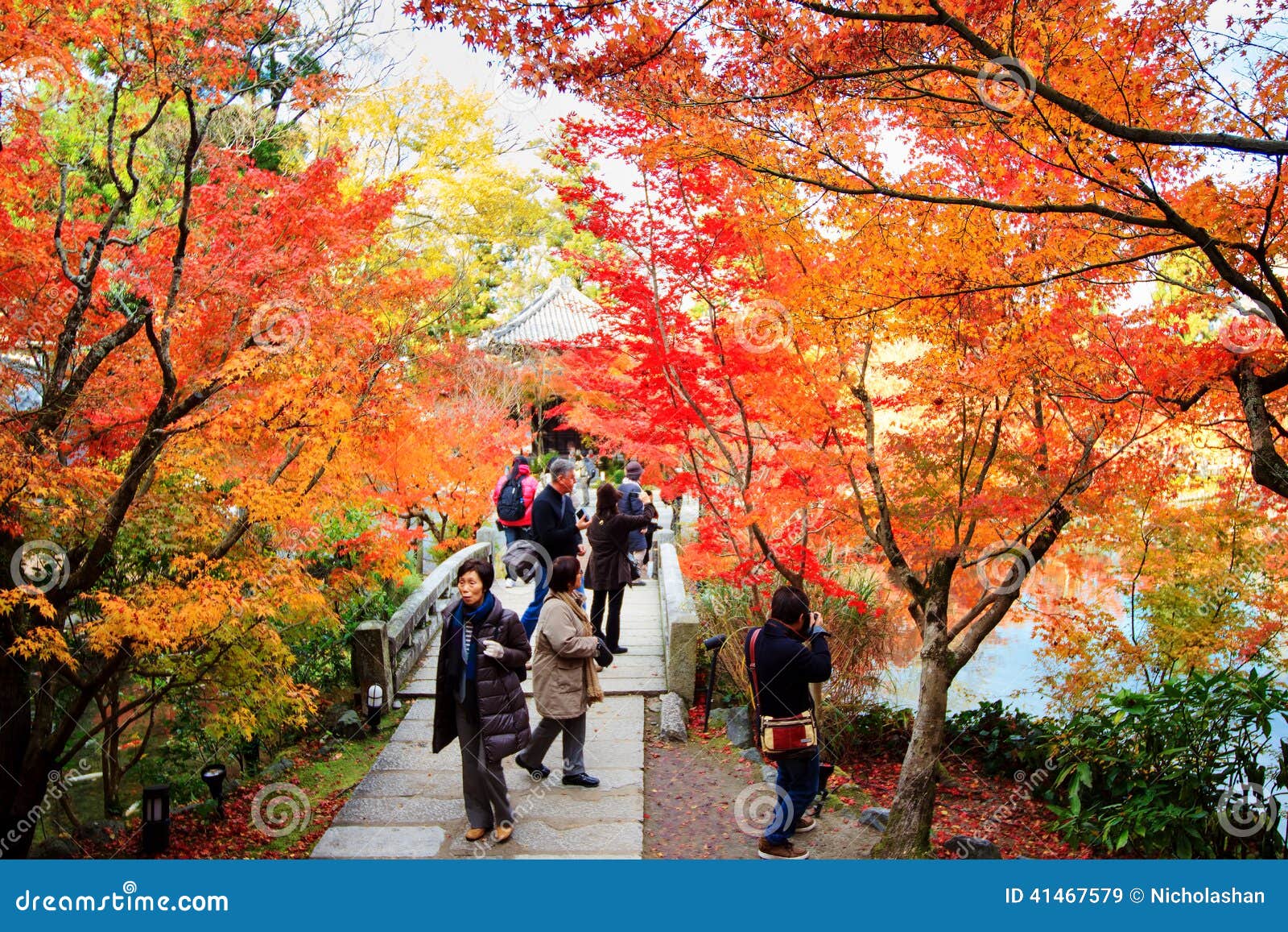 Maple Season at Fall, Japan Editorial Stock Image - Image of closeup ...