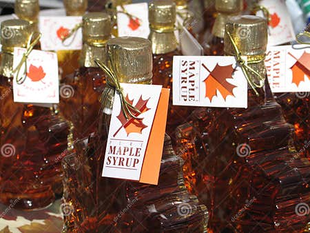 Maple Syrup stock photo. Image of syrup, sweet, sparkle - 6494808