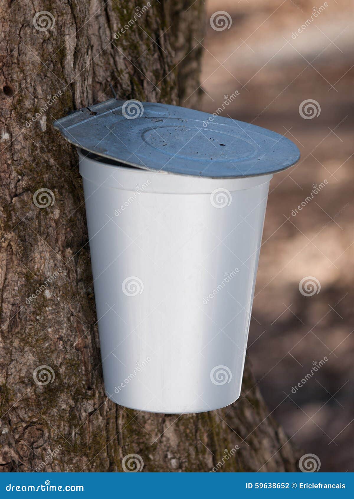 Bucket On Tree Royalty-Free Stock Photo | CartoonDealer.com #52503831