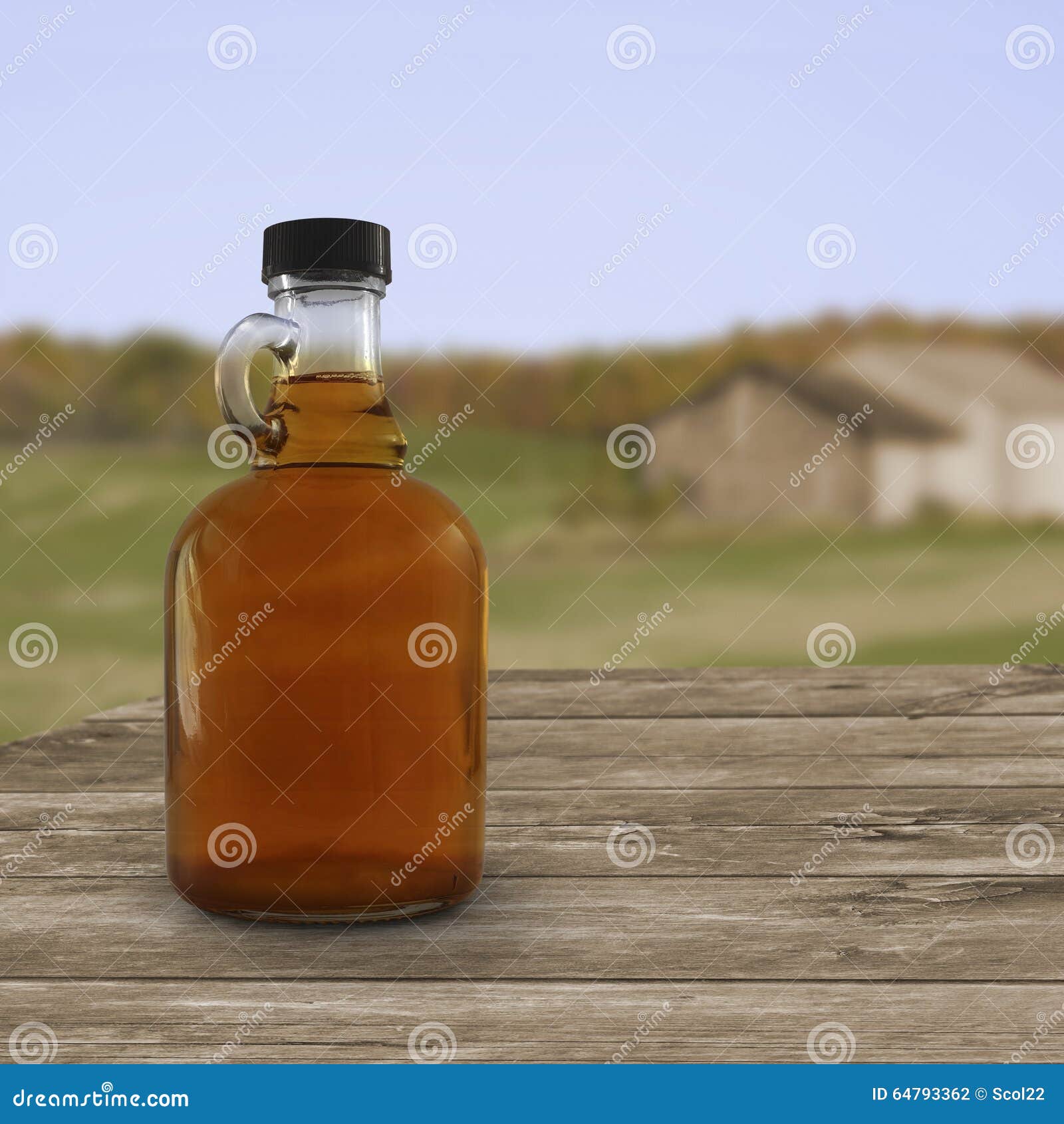 Maple Syrup stock photo. Image of outside, farm, field - 64793362