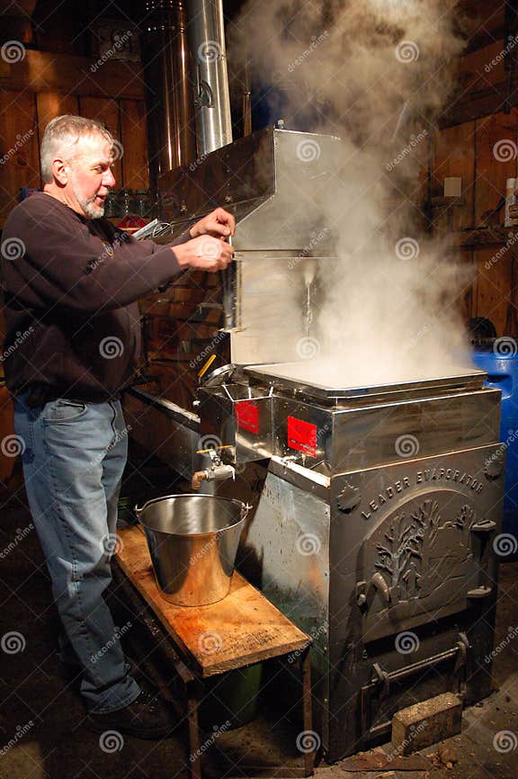 Maple Syrup Process editorial stock photo. Image of food - 83910298