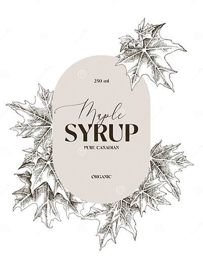 Maple Syrup Vector Label Template Stock Illustration - Illustration of ...