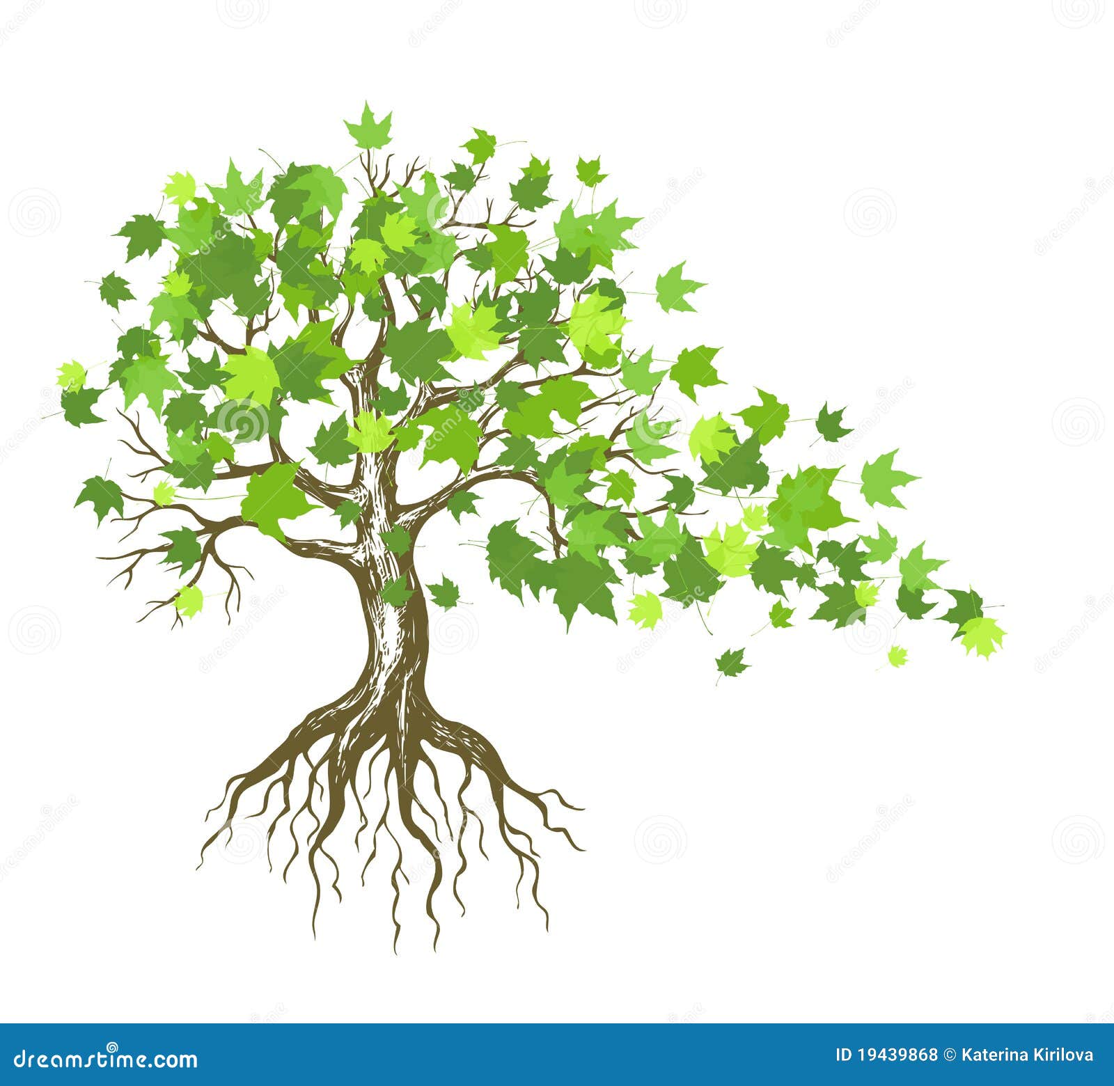 Maple tree stock vector. Illustration of nature, plant - 19439868