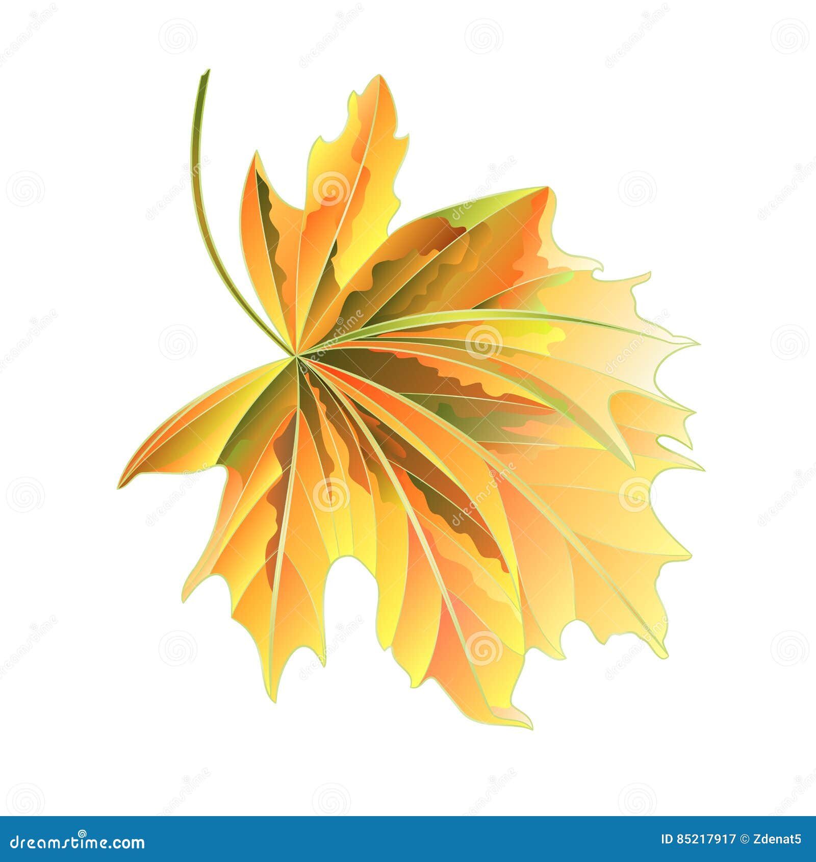 Maple Tree. Vector Cartoon Vector | CartoonDealer.com #18119457