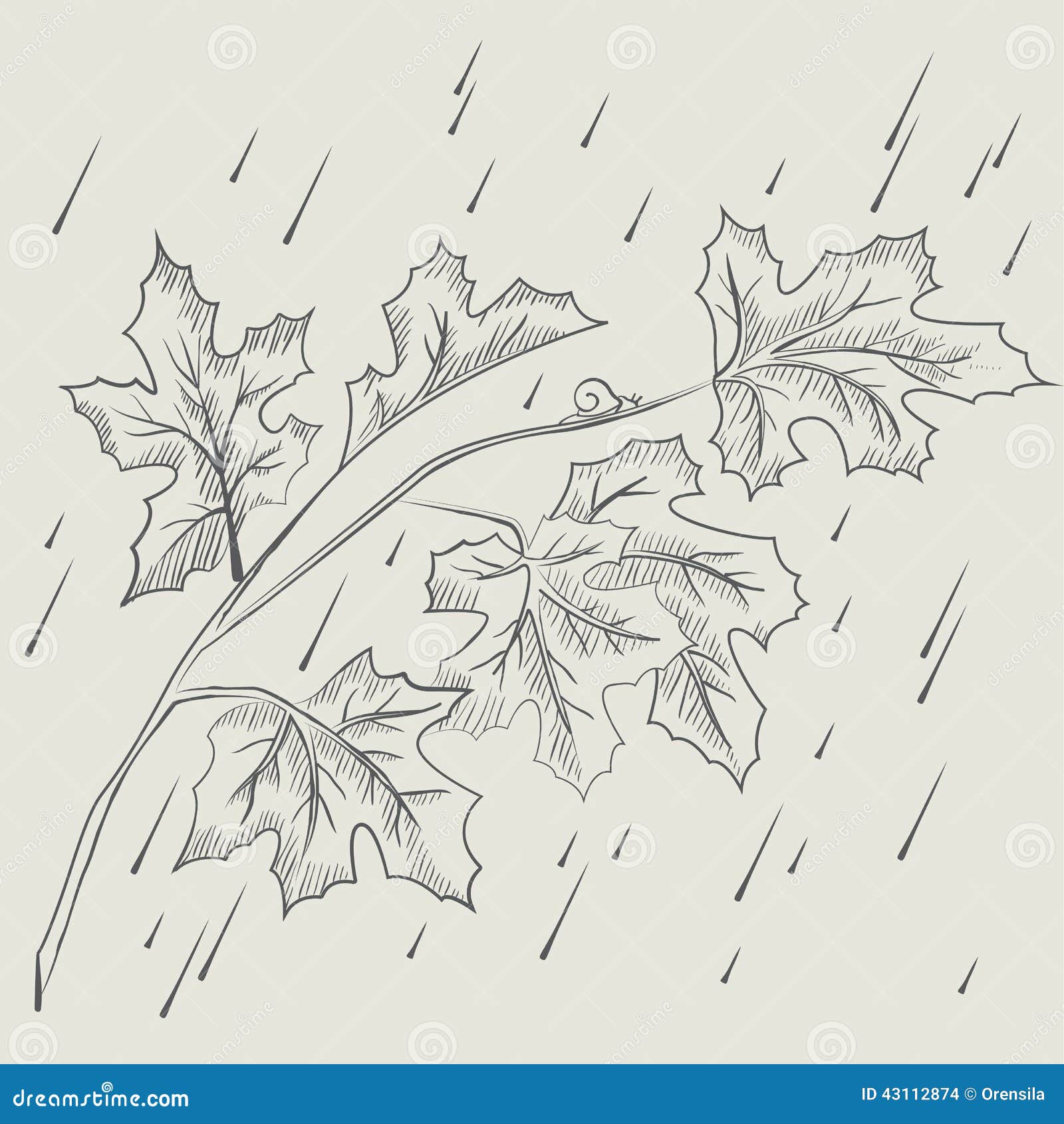 Maple Tree Branch in the Rain Stock Vector - Illustration of design ...