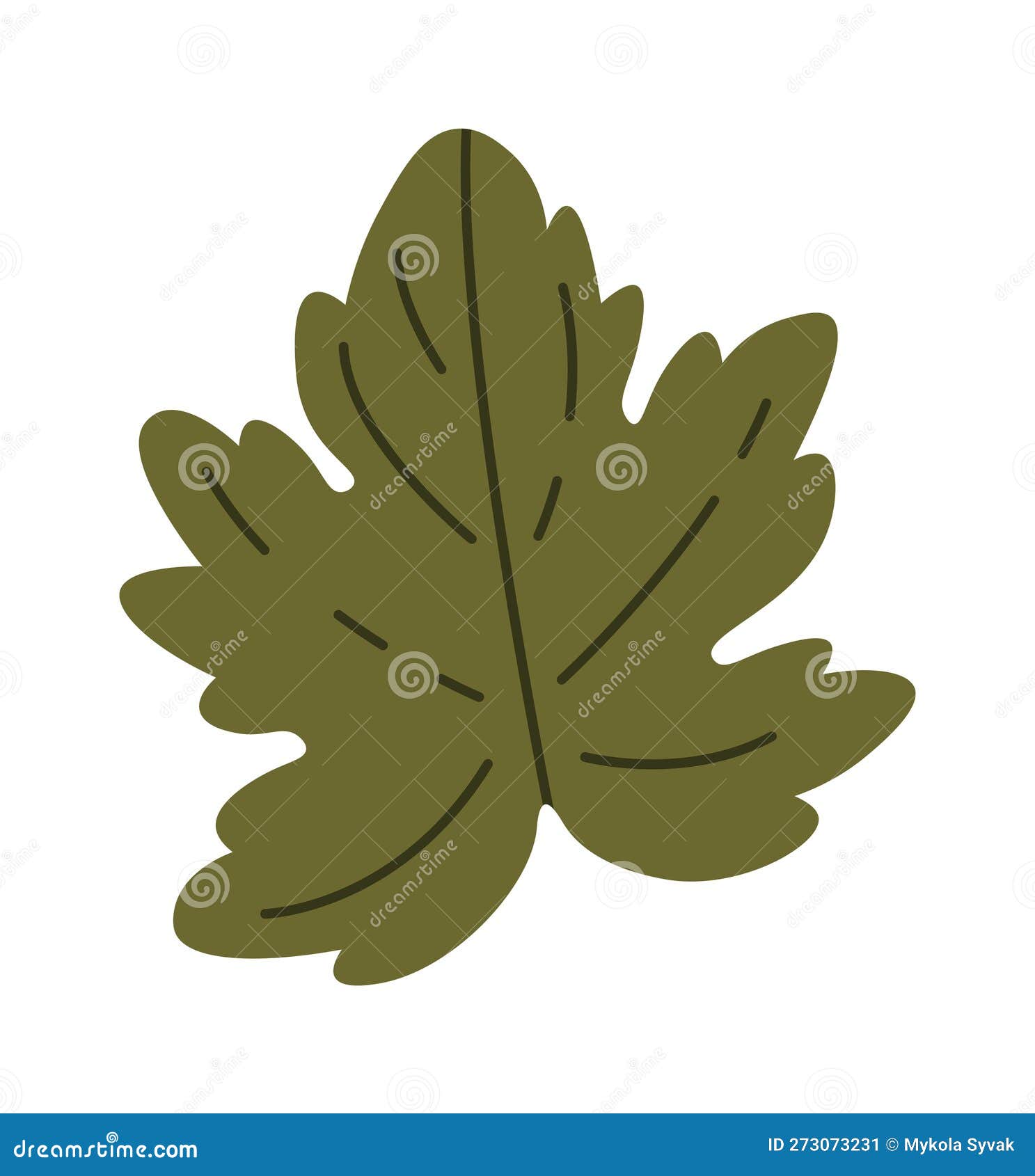Maple Tree Leaf stock vector. Illustration of botany - 273073231
