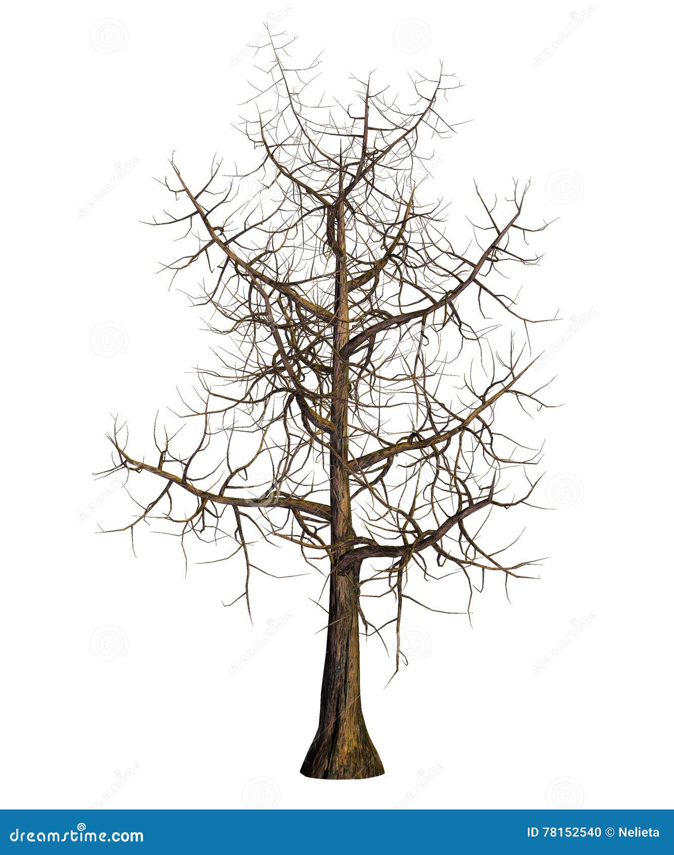 Maple tree without leafs stock illustration. Illustration of bare ...