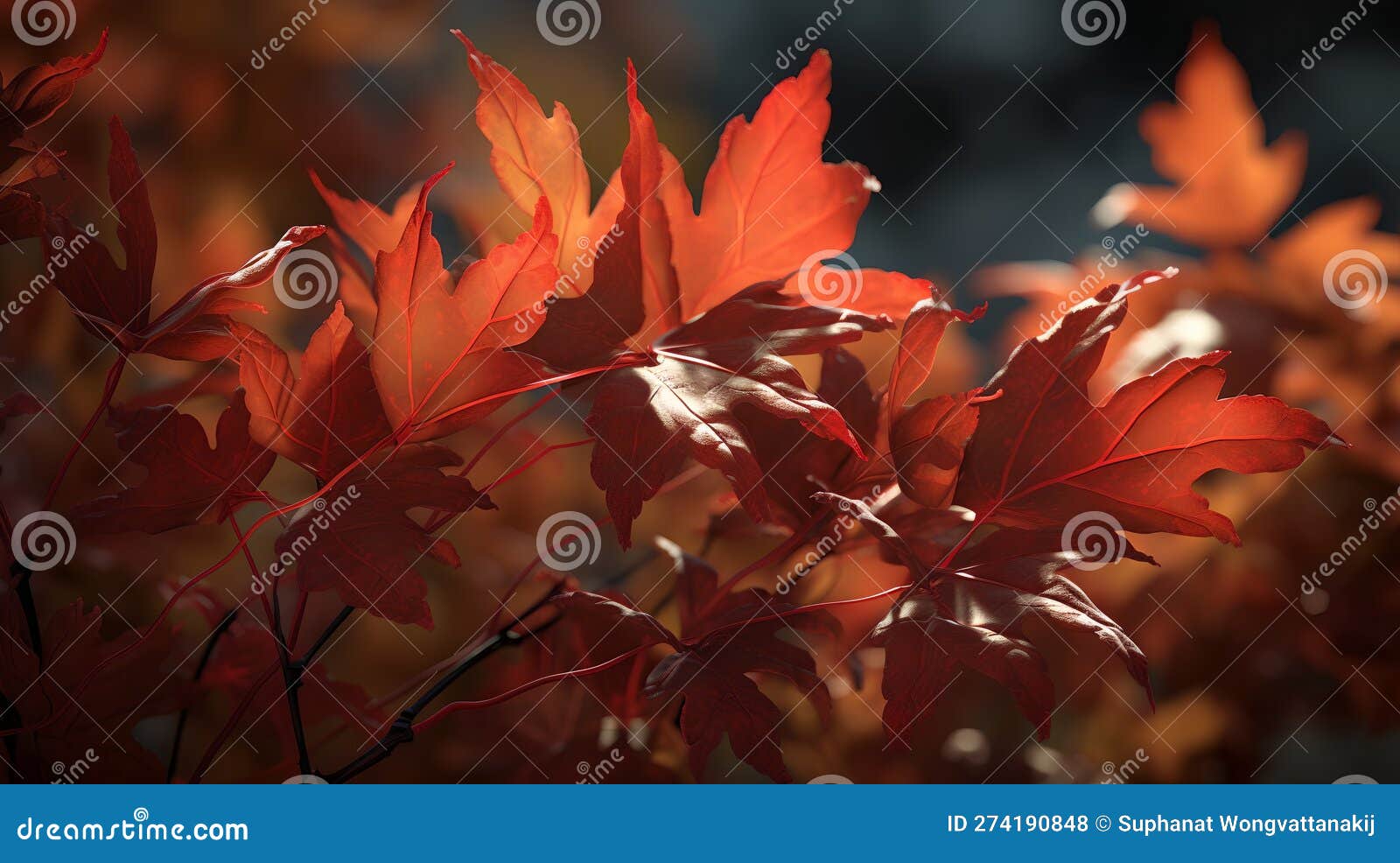 Maple Tree Leaves Background, Image Ai Generated Stock Illustration ...