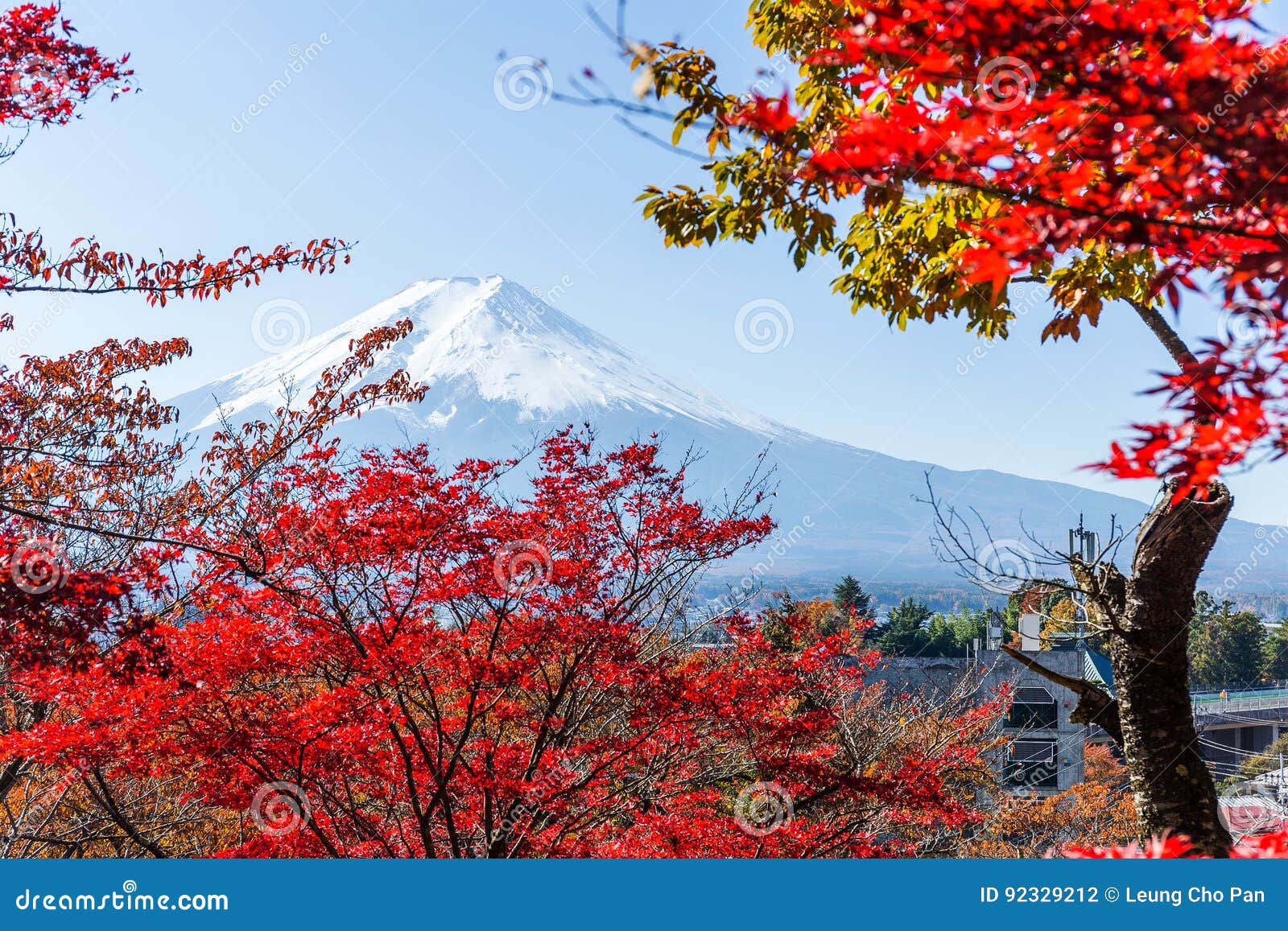 Maple Tree and Mountain Fuji Stock Photo - Image of sengen, outdoor ...