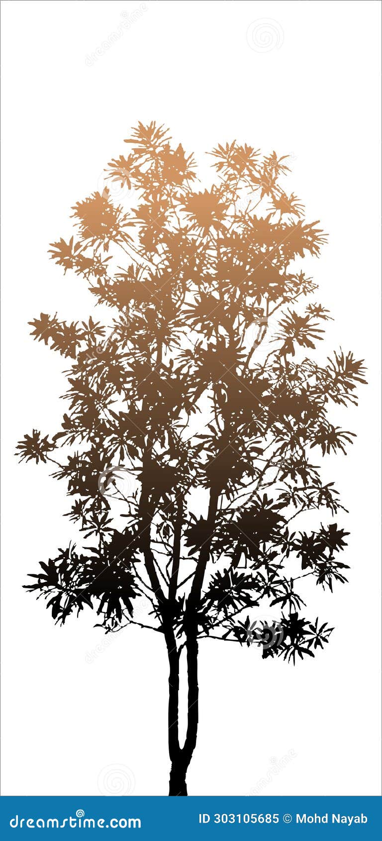 Maple Tree Multi Colour Vector Image Stock Vector - Illustration of ...