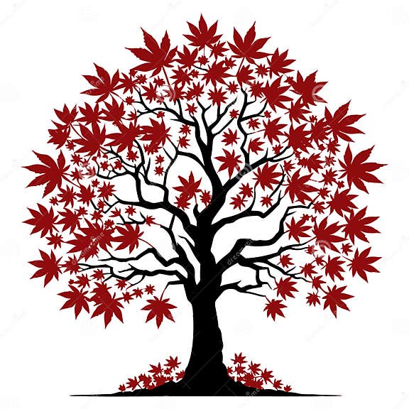 Maple Tree with Red Leves and White Backround Stock Illustration ...