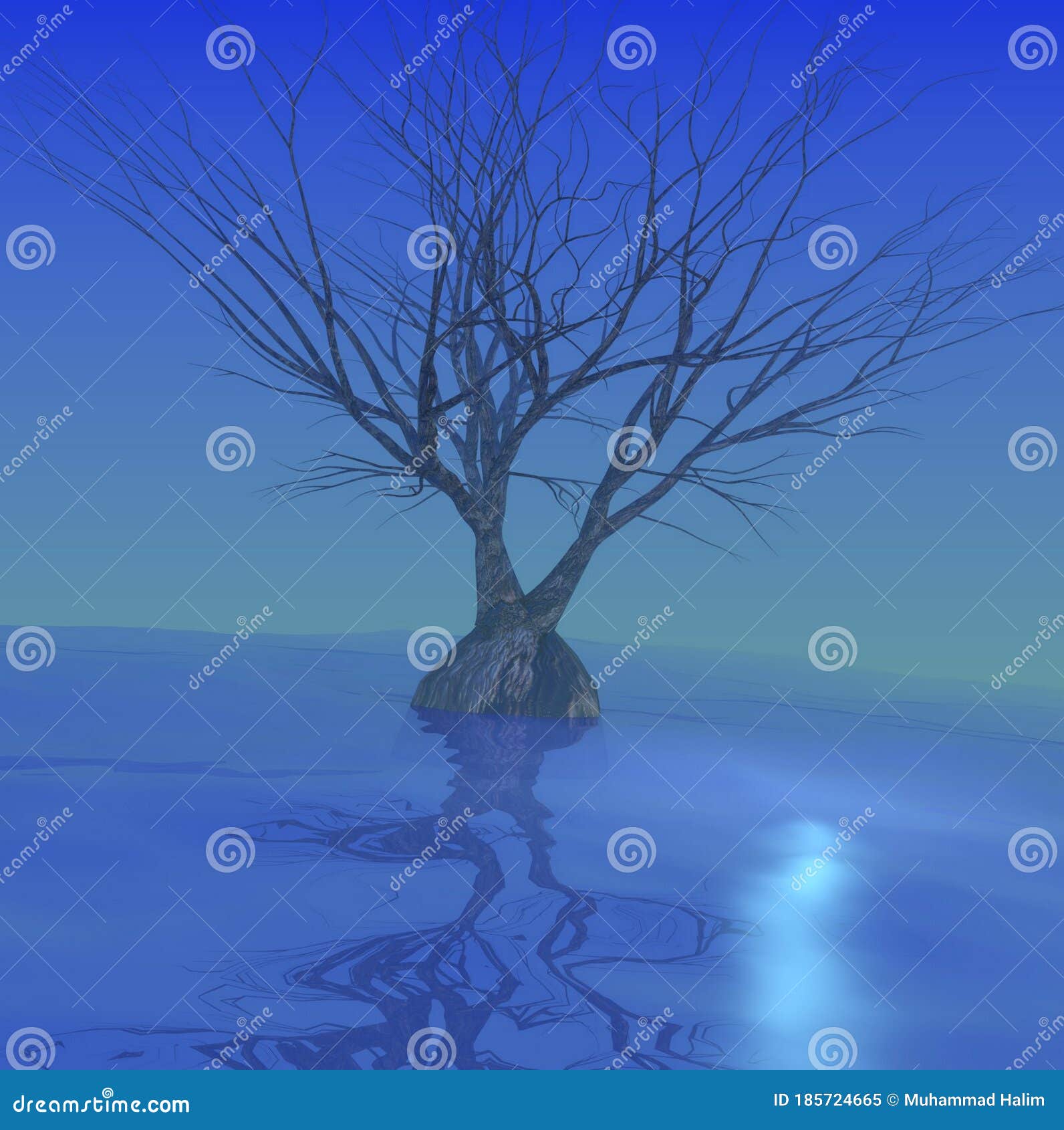 Maple Tree Shadow Reflection Stock Illustration - Illustration of array ...