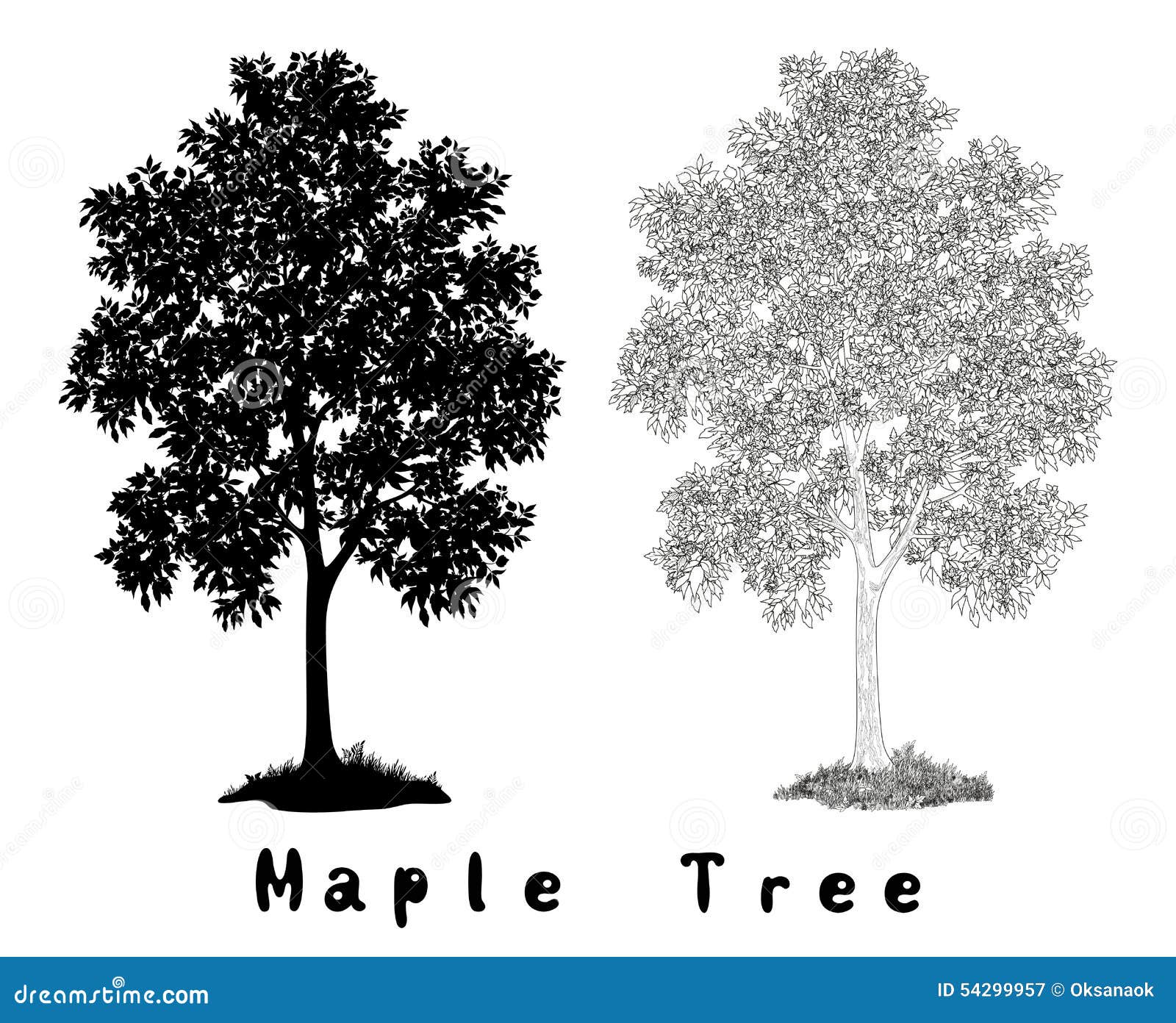 Maple Tree Silhouette Vector Illustration | CartoonDealer.com #91231606
