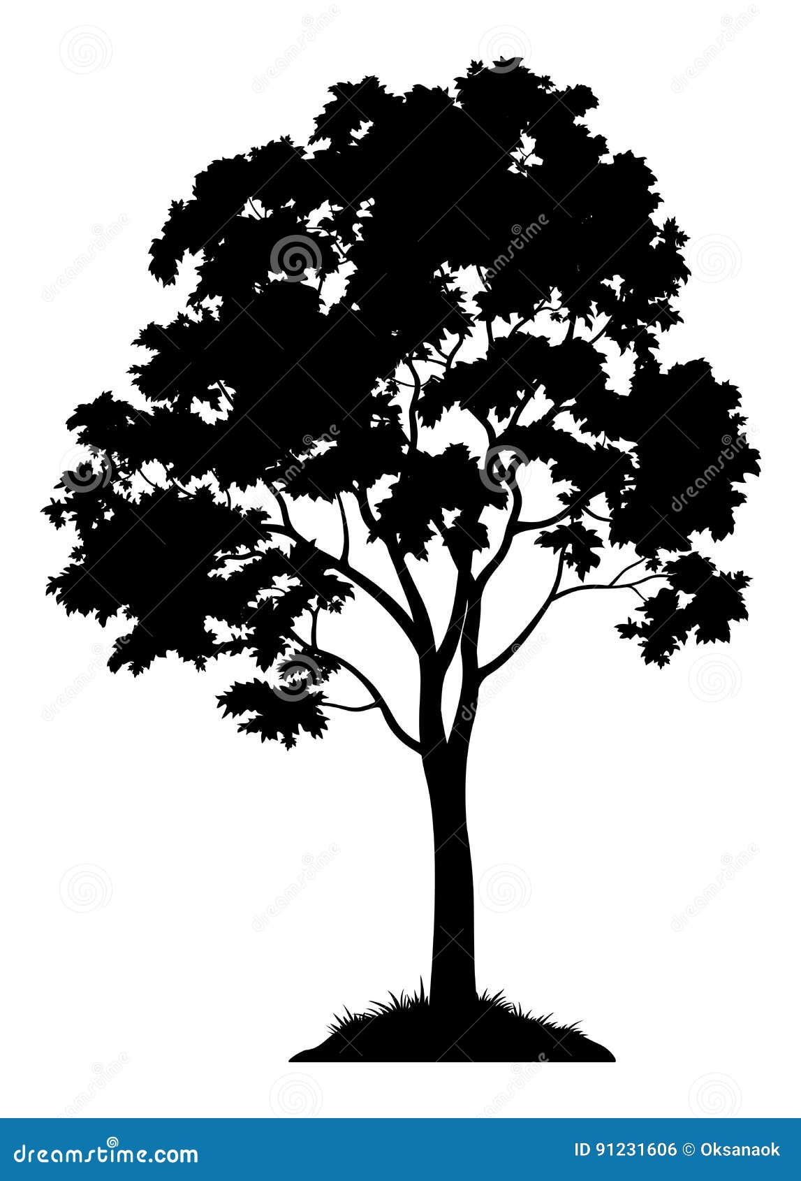 Maple Tree Silhouette stock vector. Illustration of grass - 91231606