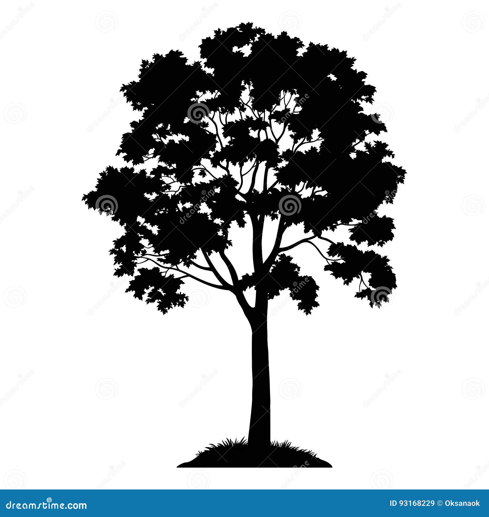 Sugar Maple Tree Silhouette