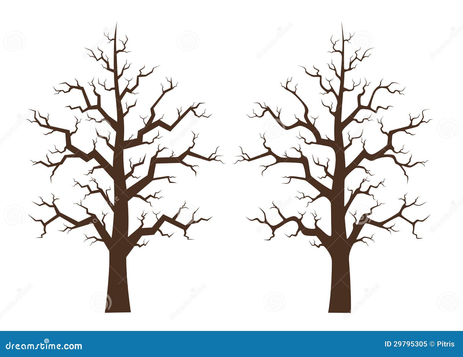 Maple tree two draft stock vector. Illustration of icon - 29795305