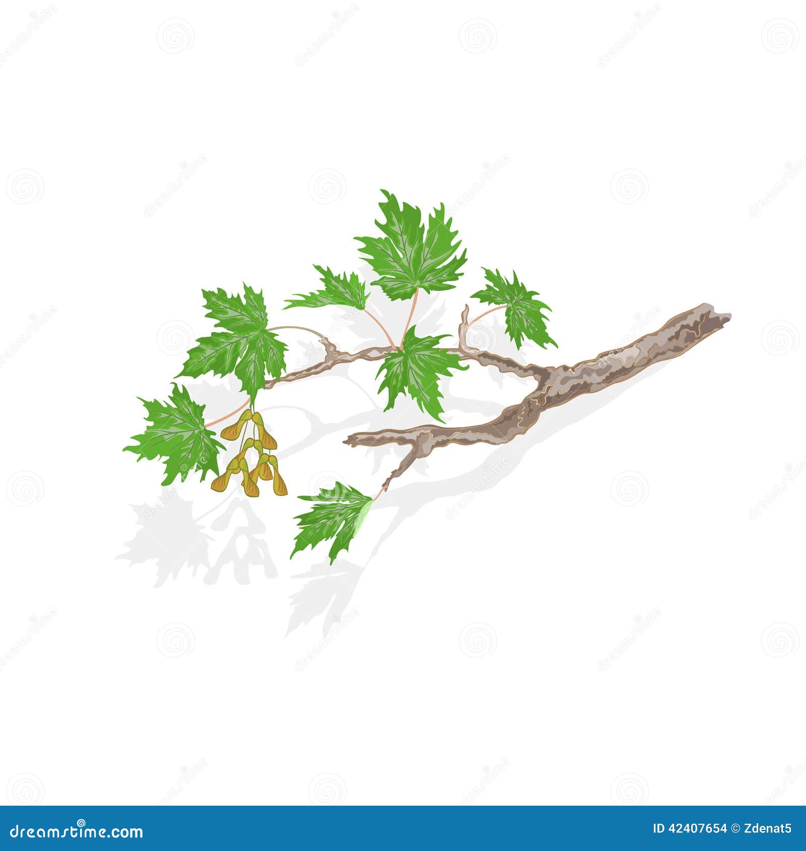 Maple Tree Vector Illustration Stock Vector - Illustration of element ...