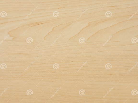Maple tree wood stock image. Image of floor, striped, flooring - 7180641