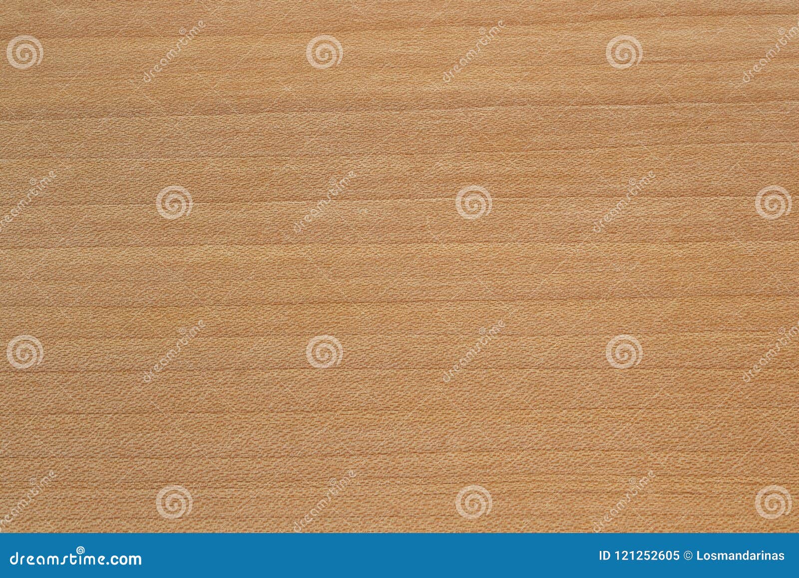 Maple tree wood texture stock image. Image of tree, surface - 121252605