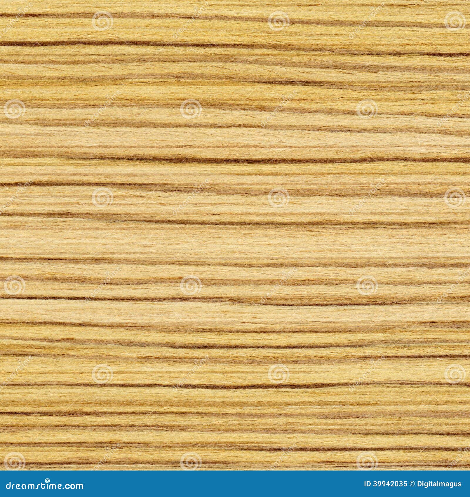 Maple Tree Wood Textured Background Stock Image - Image of covering ...