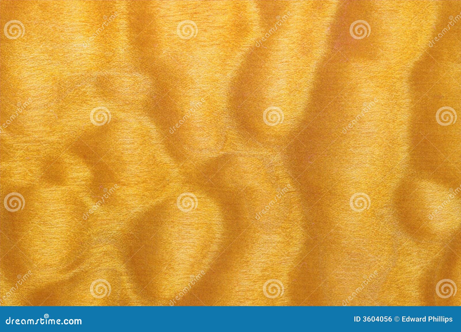 Maple Veneer stock photo. Image of varnished, wooden, polished - 3604056