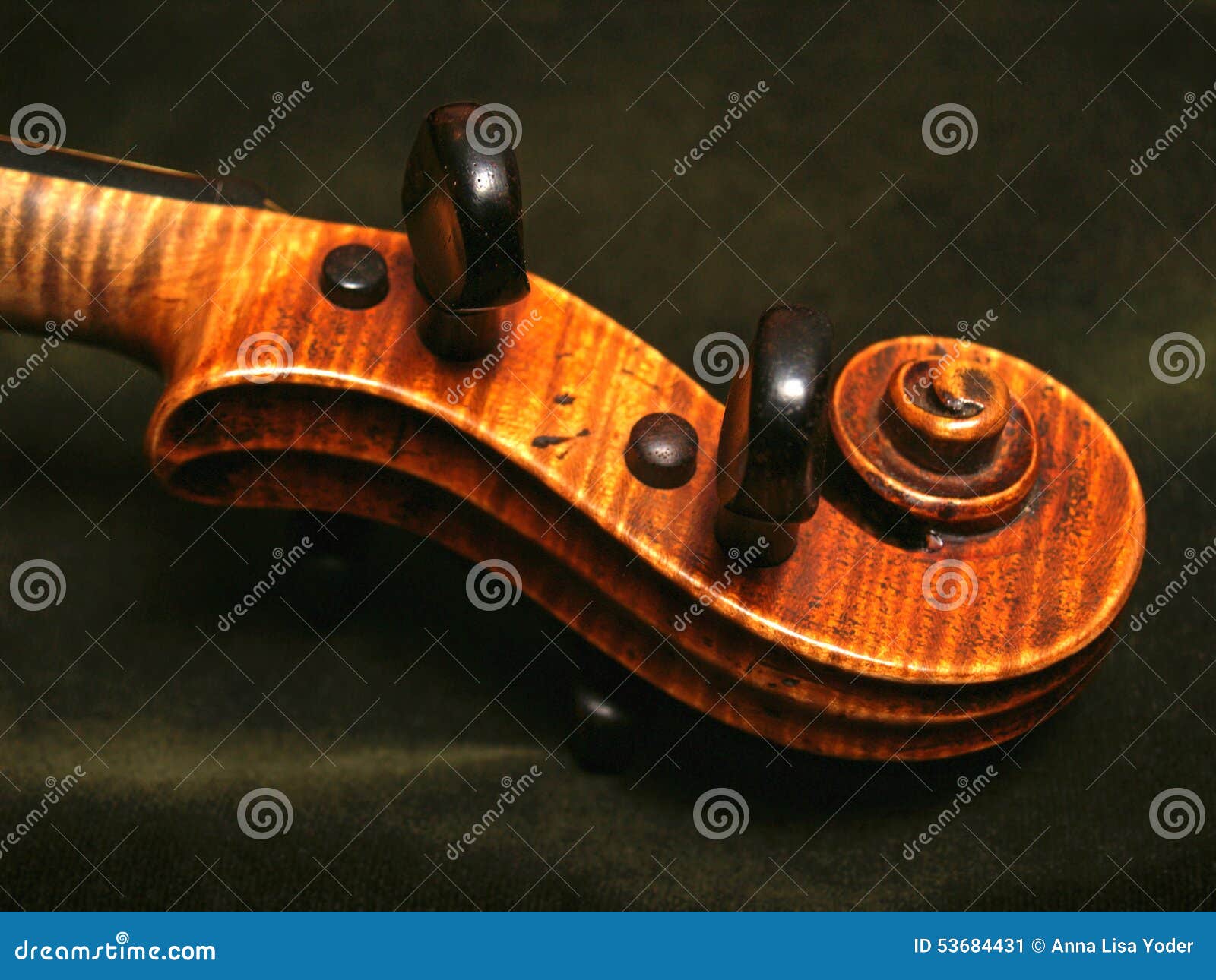Antique Maple Violin Scroll on Olive Green Velvet Stock Image - Image ...