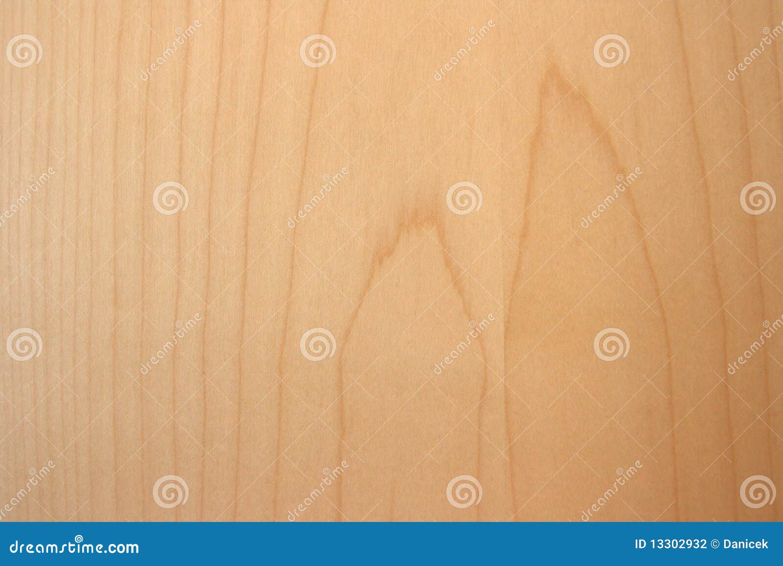 Maple Wood Texture Stock Image | CartoonDealer.com #4485517