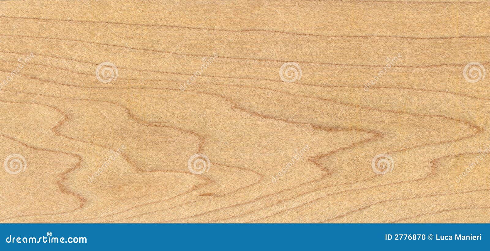 Maple Wood Slice Showing Cross-section Pattern Stock Image ...