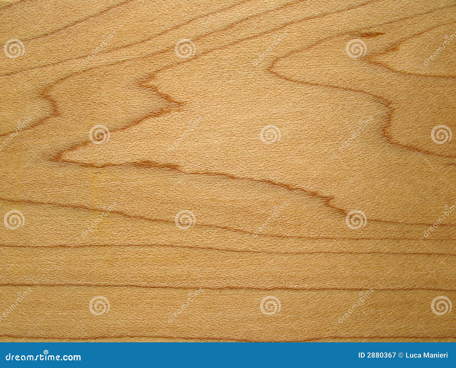 Maple Wood Texture Royalty-Free Stock Image | CartoonDealer.com #123914032