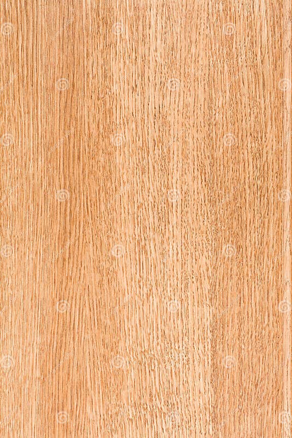 Maple wood pattern stock photo. Image of wood, brown - 34351872