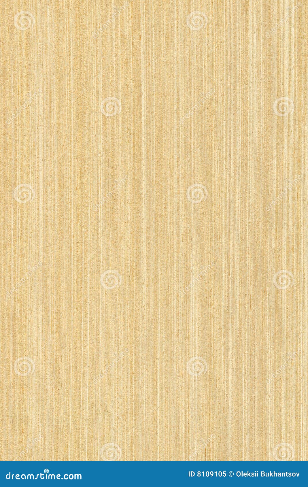 Maple (wood texture) stock image. Image of board, abstract - 8109105