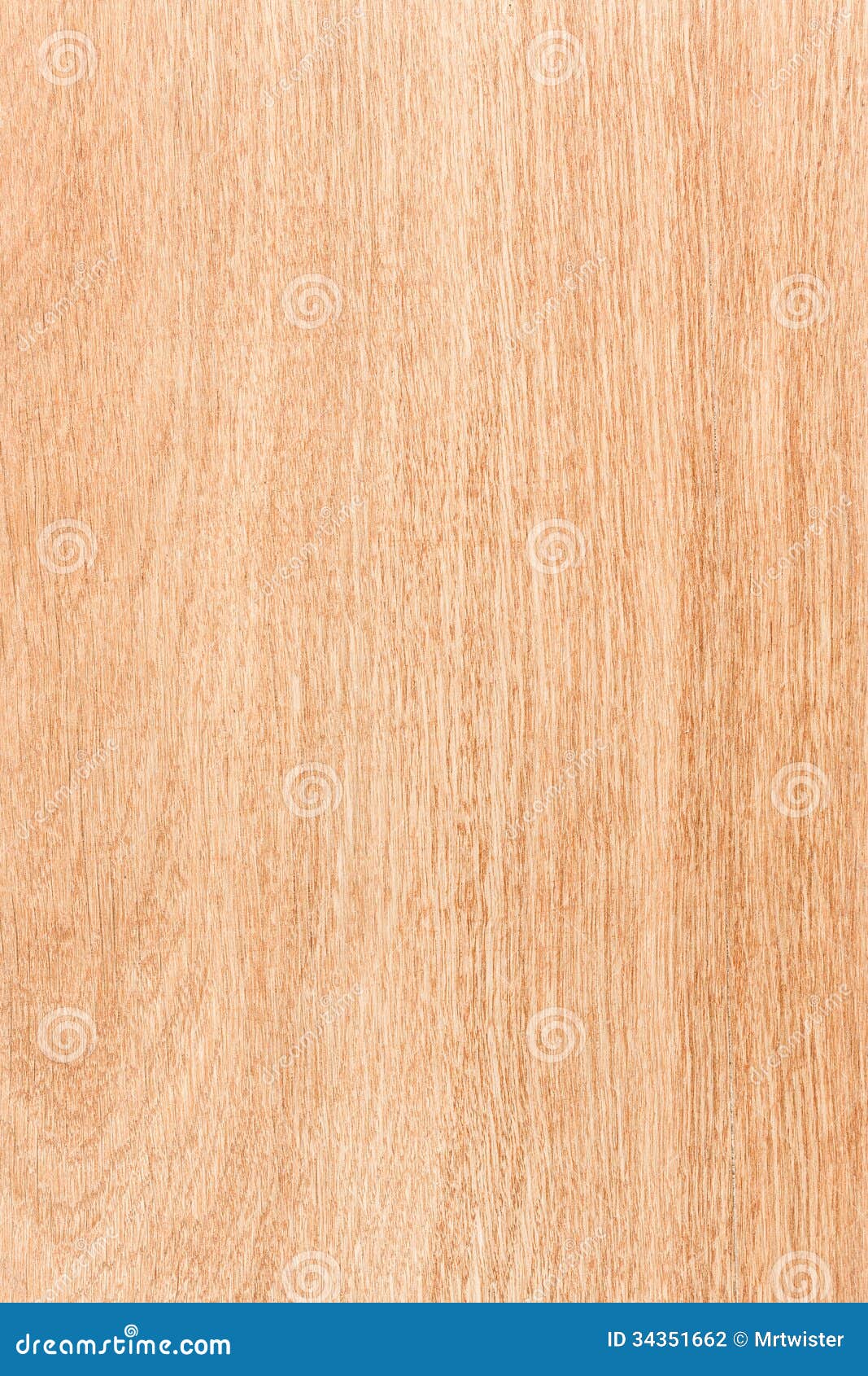 Maple wood texture stock photo. Image of surface, wall - 34351662