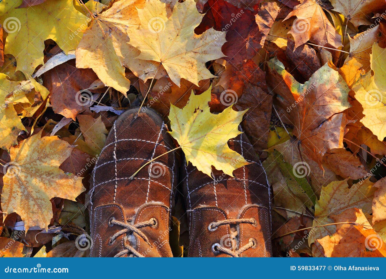 Maple Yellow Leaves and Shoe Stock Image - Image of human, nature: 59833477